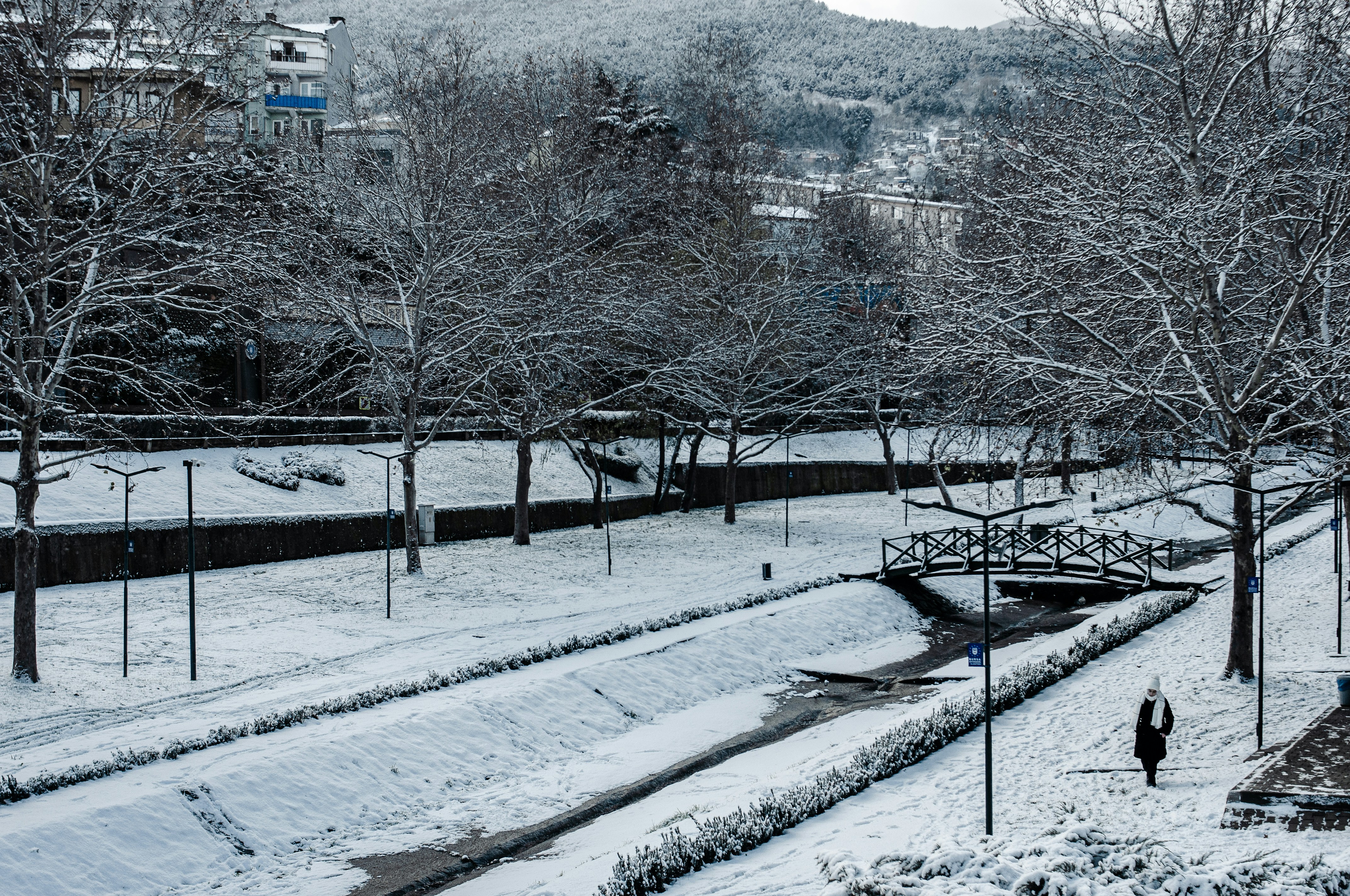 Snowbound Riverside: A Quiet Winter Walk by the Canal
