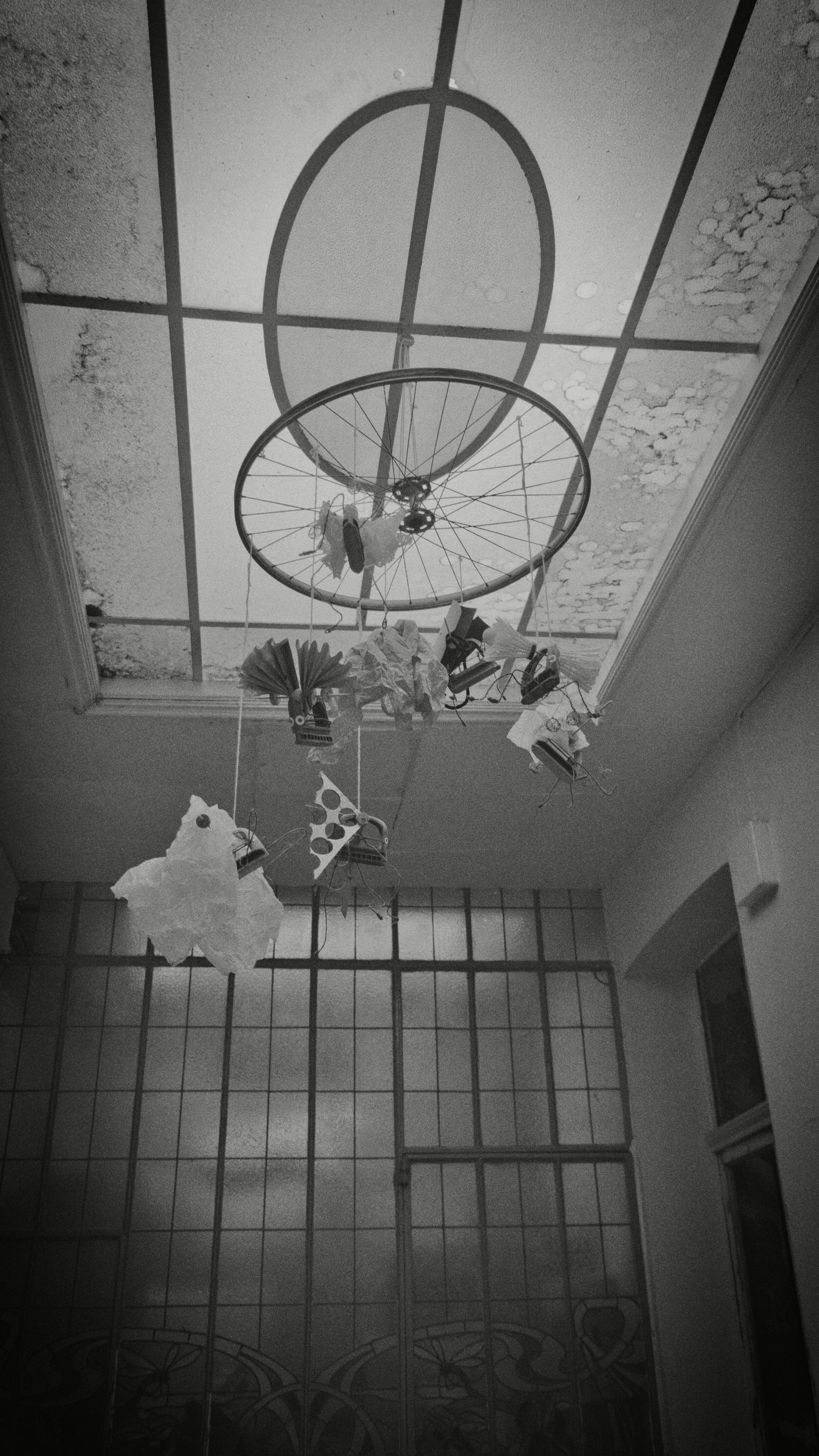 Disrupted Circles: A Surreal Ceiling of a Bicycle Wheel