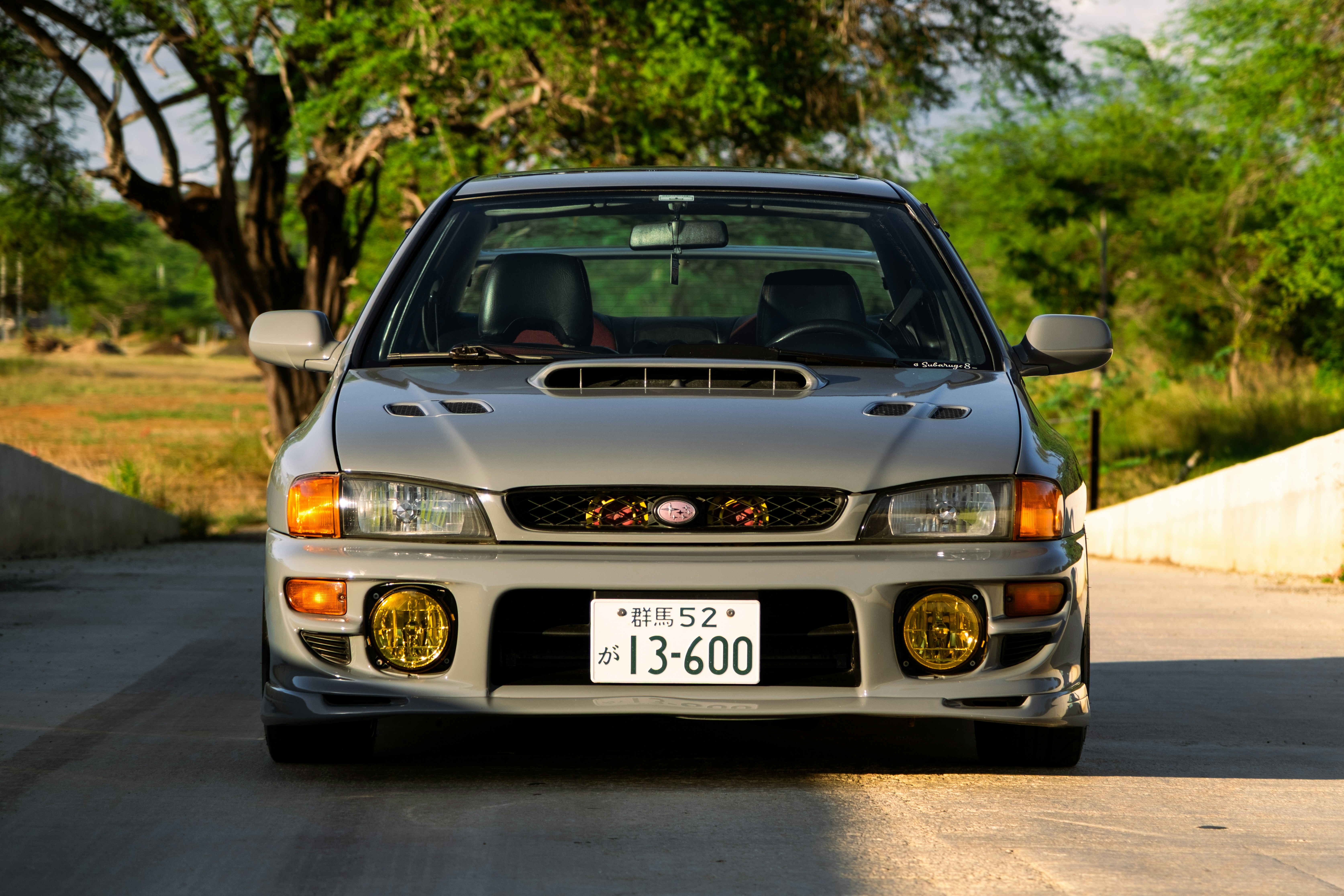 Frontal Focus: A Japanese Regal Suburban Stallion
