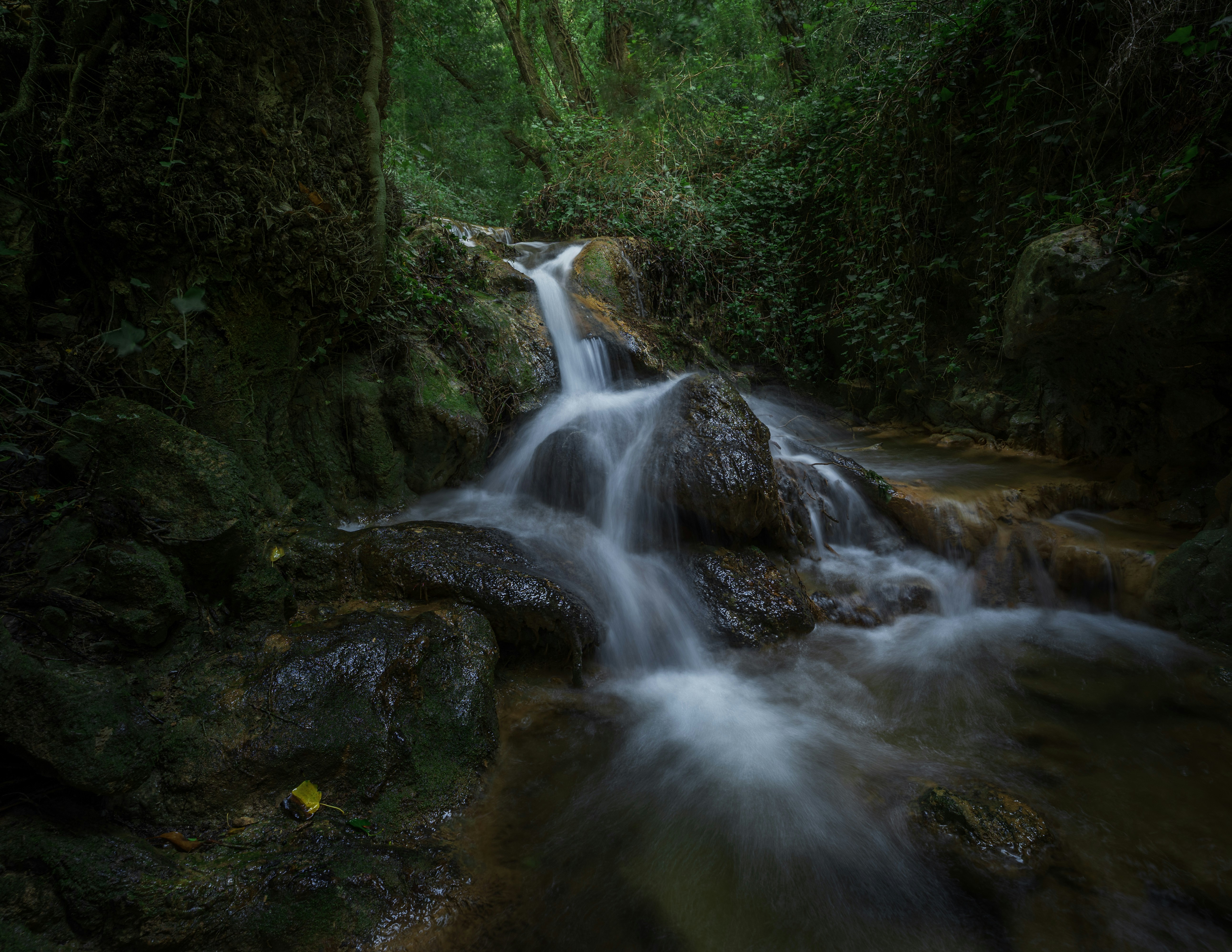 Whispering Cascade Through Mossed Stones