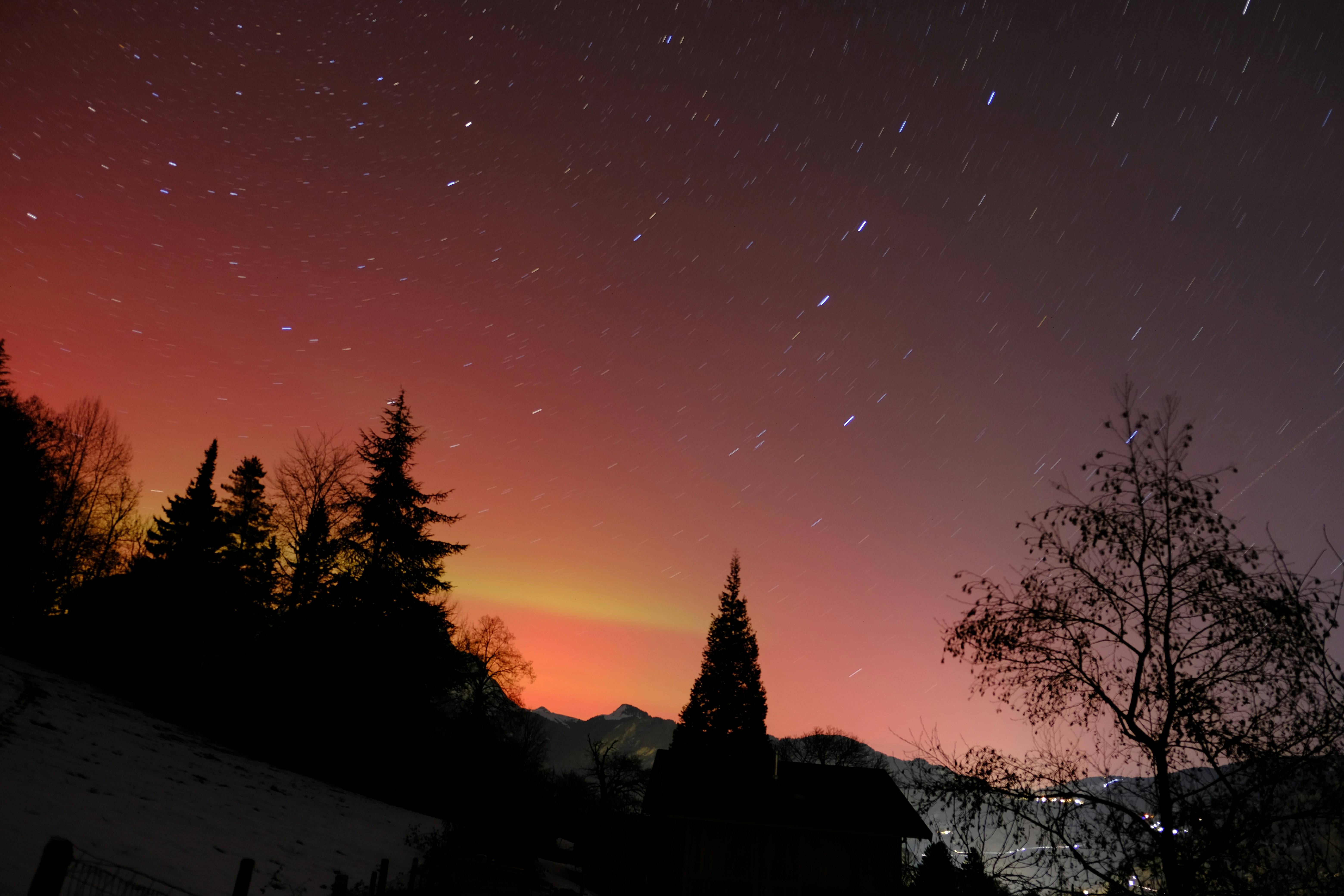 Verdant silhouettes and a violet-skied night under star trails