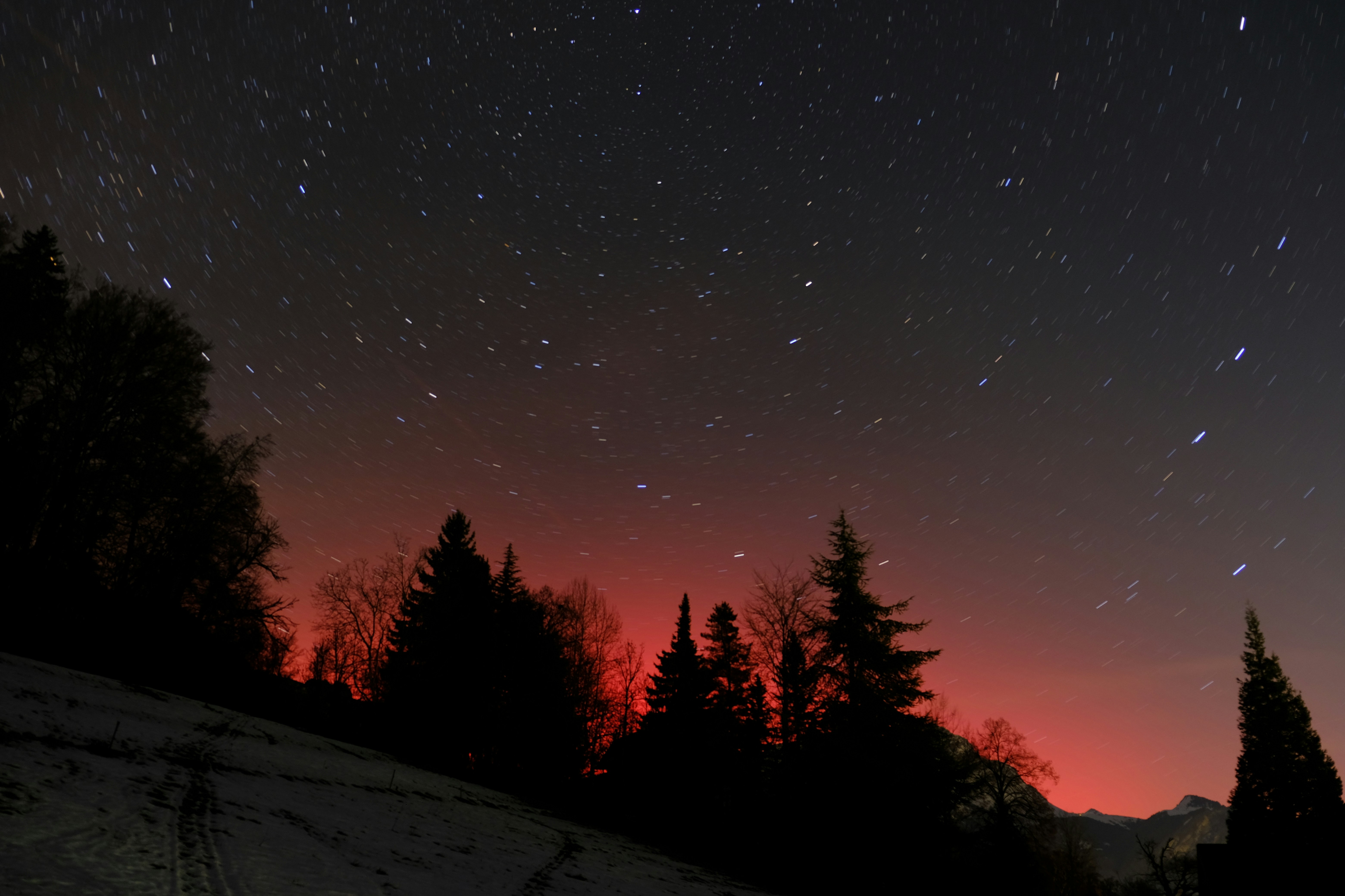 Red horizon over silent pines under a spiraling night sky