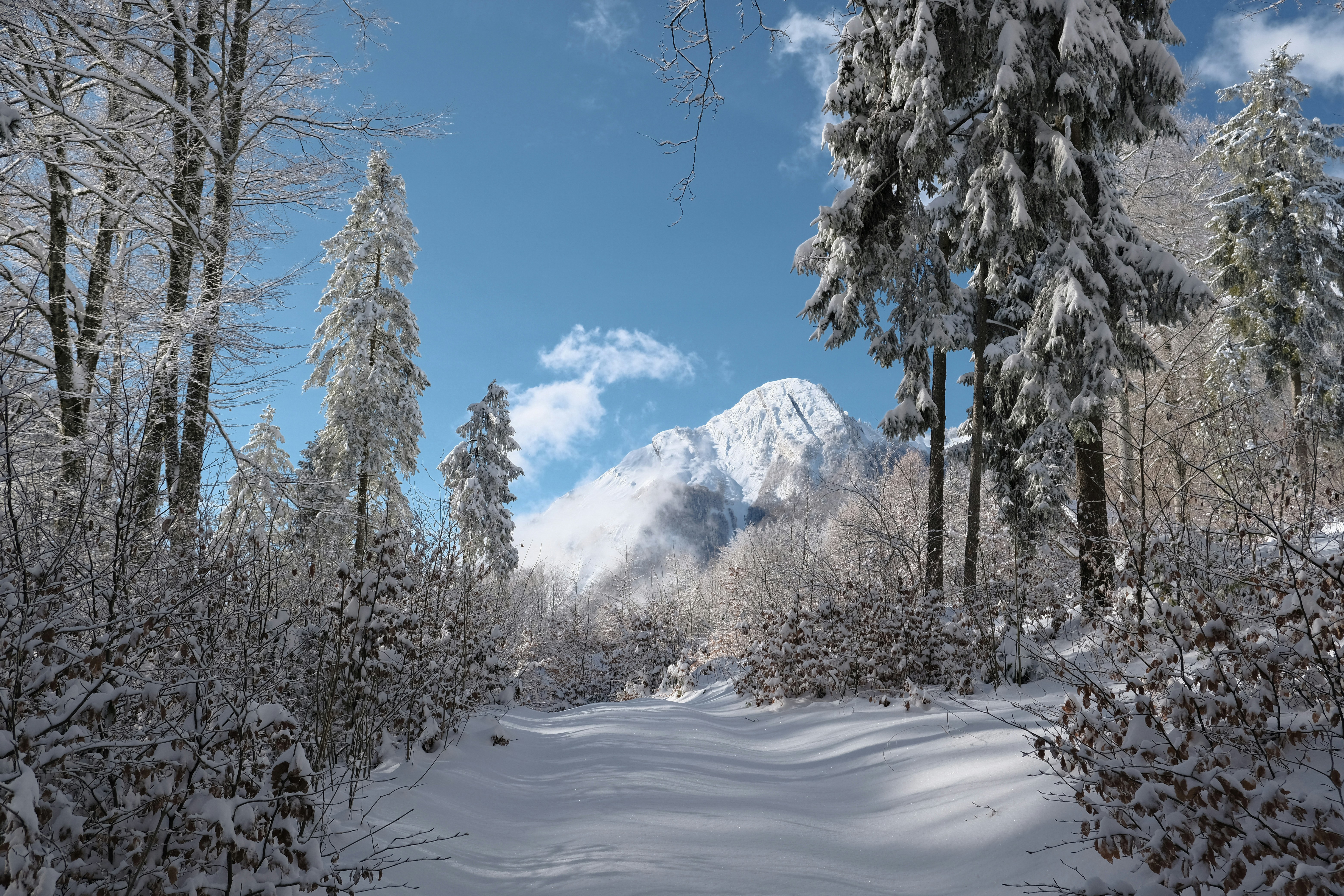 Snow-lined Trail to a Snow-Capped Peak