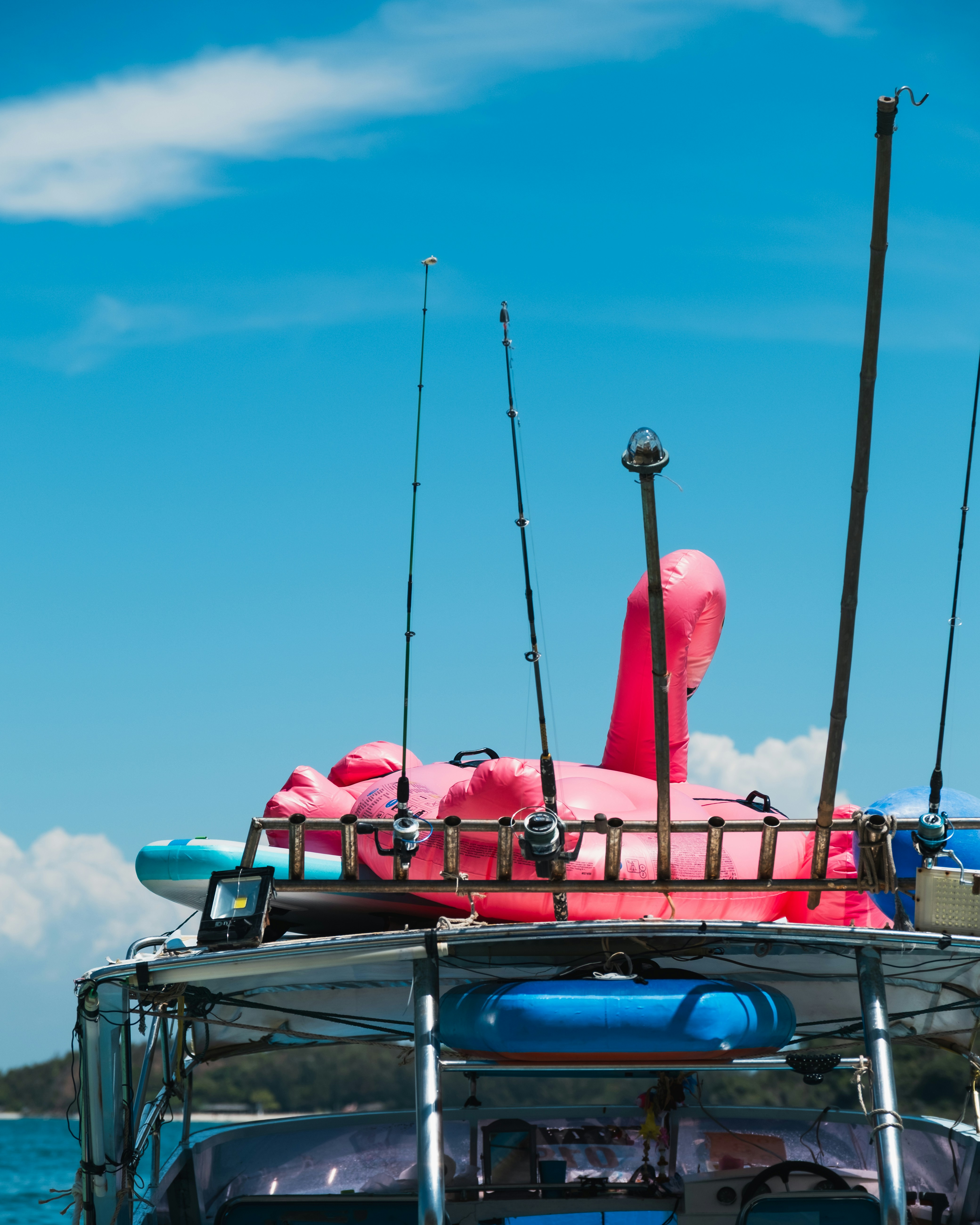 Floating Fun: Pink Flamingo Lounges on a Pontoon Wake