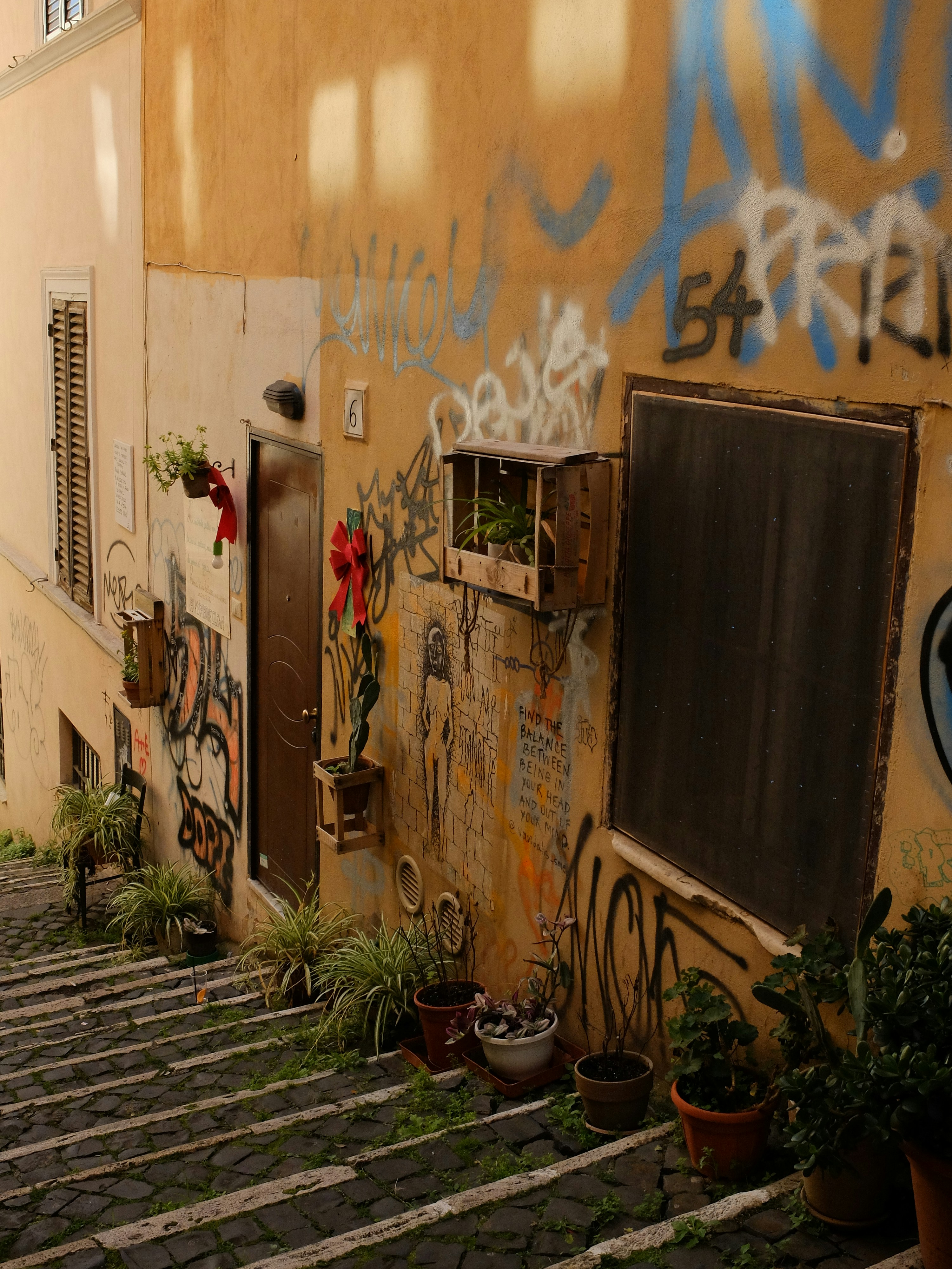 Urban Courtyard Staircase: Plants, Graffiti and Sunlit Steps