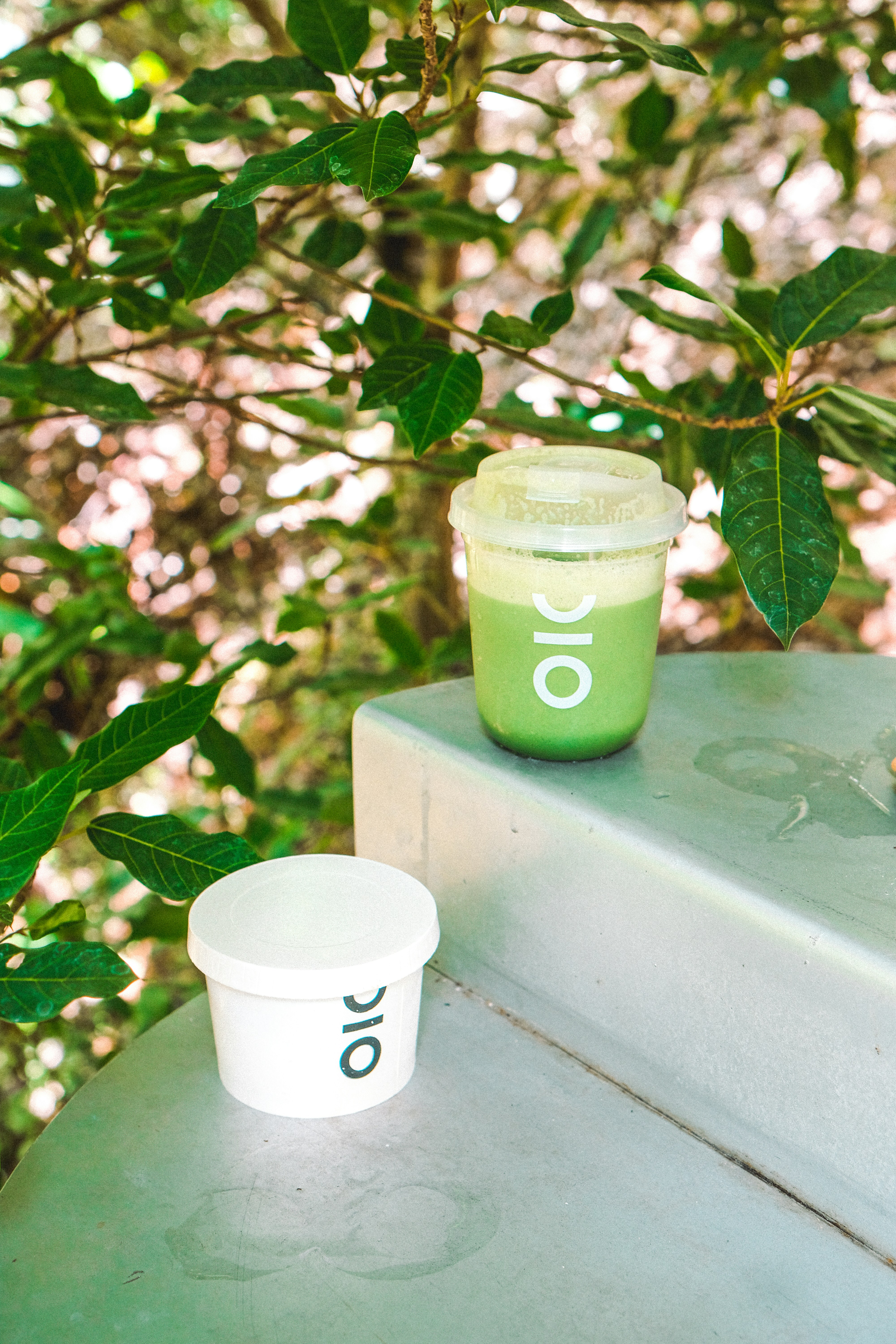 Two disposable cups amid green foliage and a green smoothie on a rounded green surface