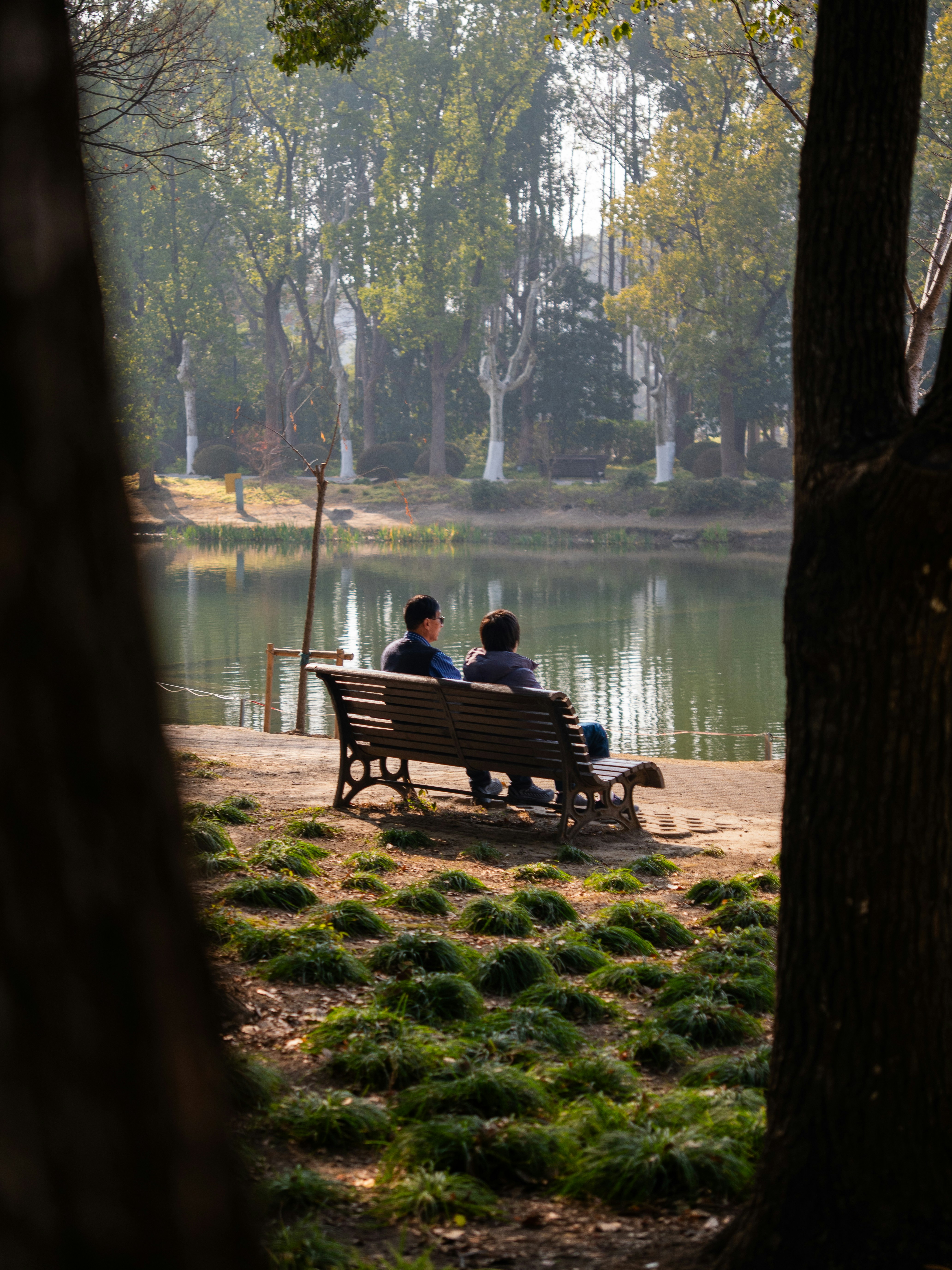 Quiet Conversation on a Park Bench by the Lake