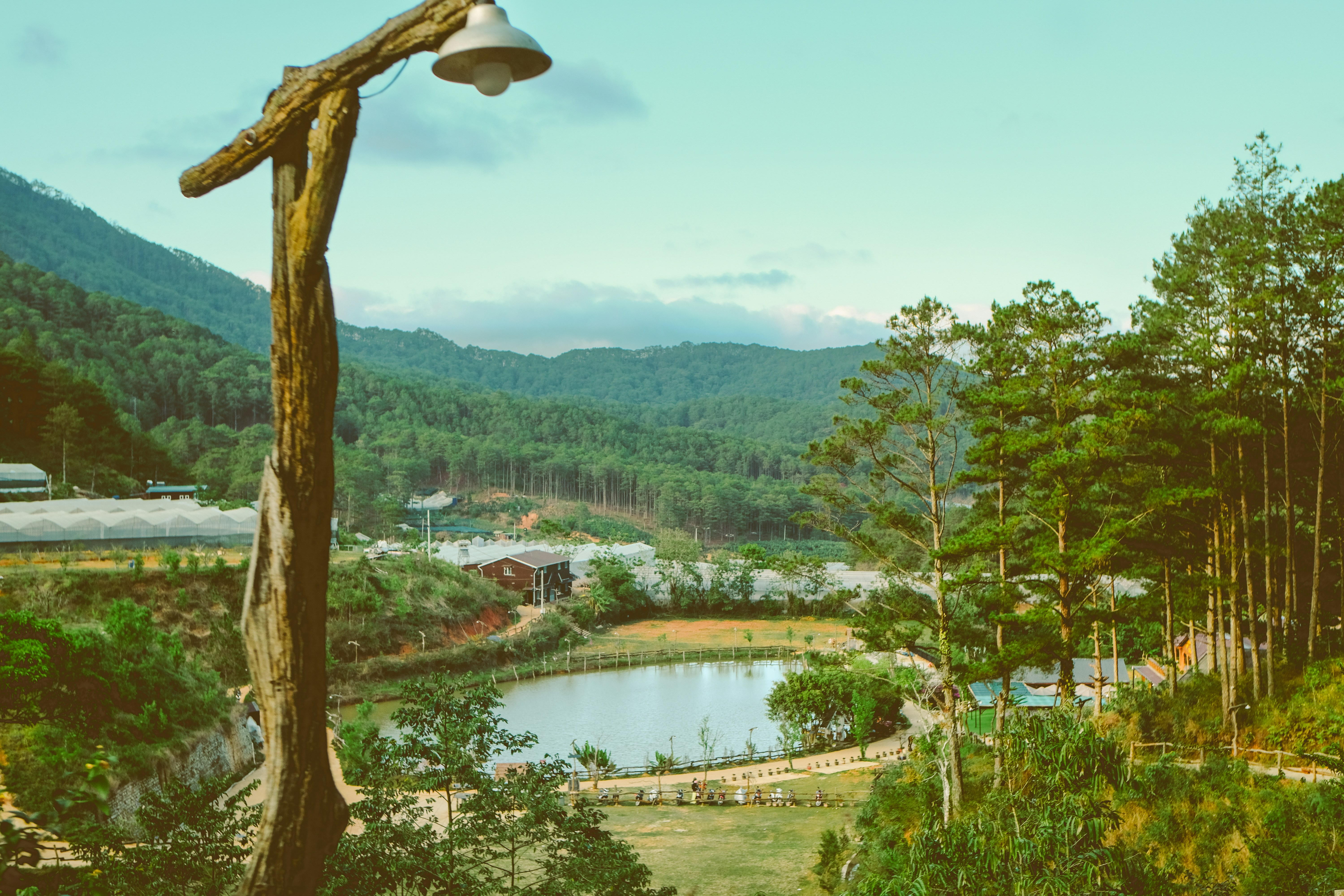 Lakeside Lantern and Pines: A Quiet Hilltop View