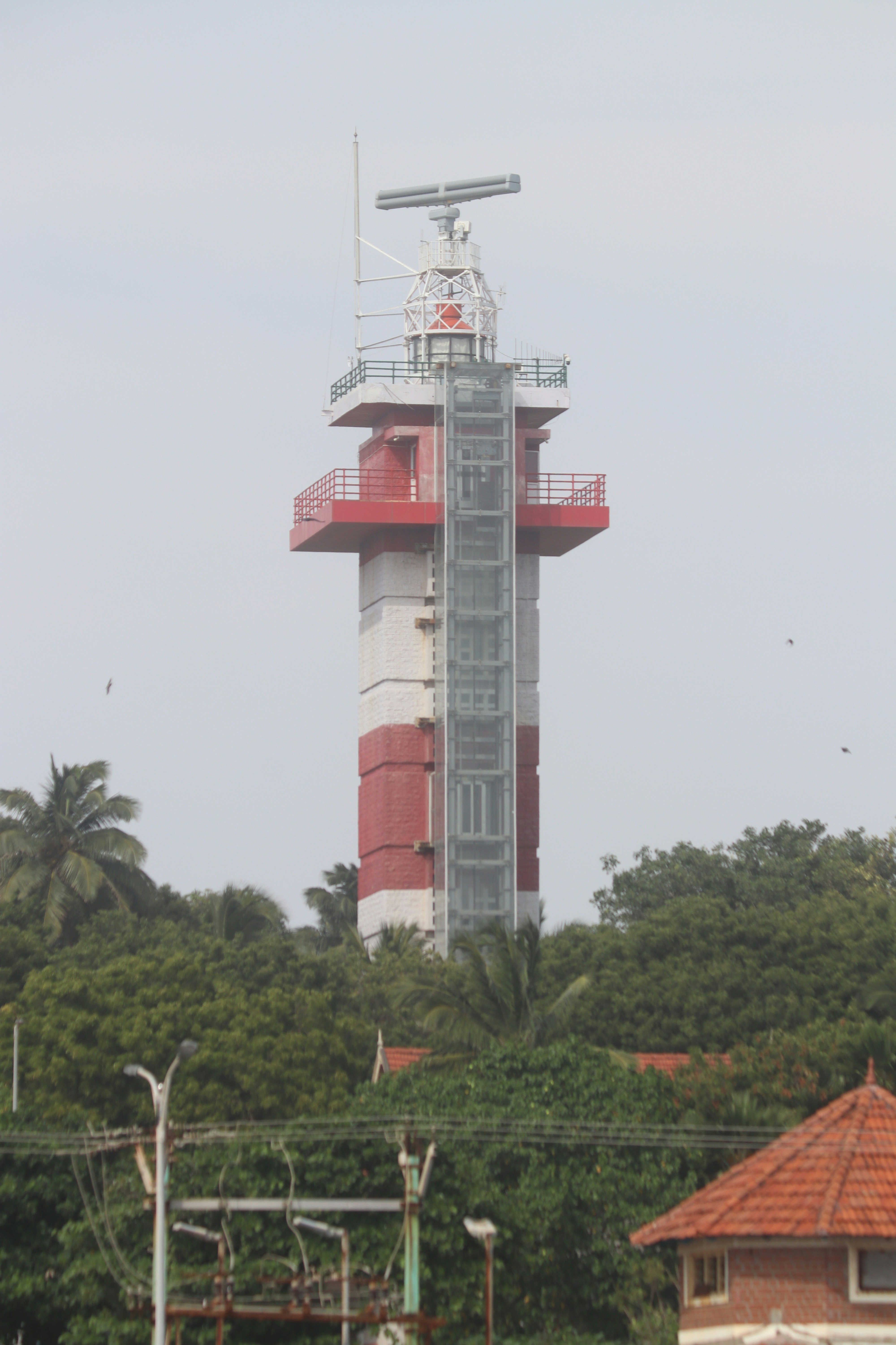 Lighthouse Tower Rising Above Green Canopy