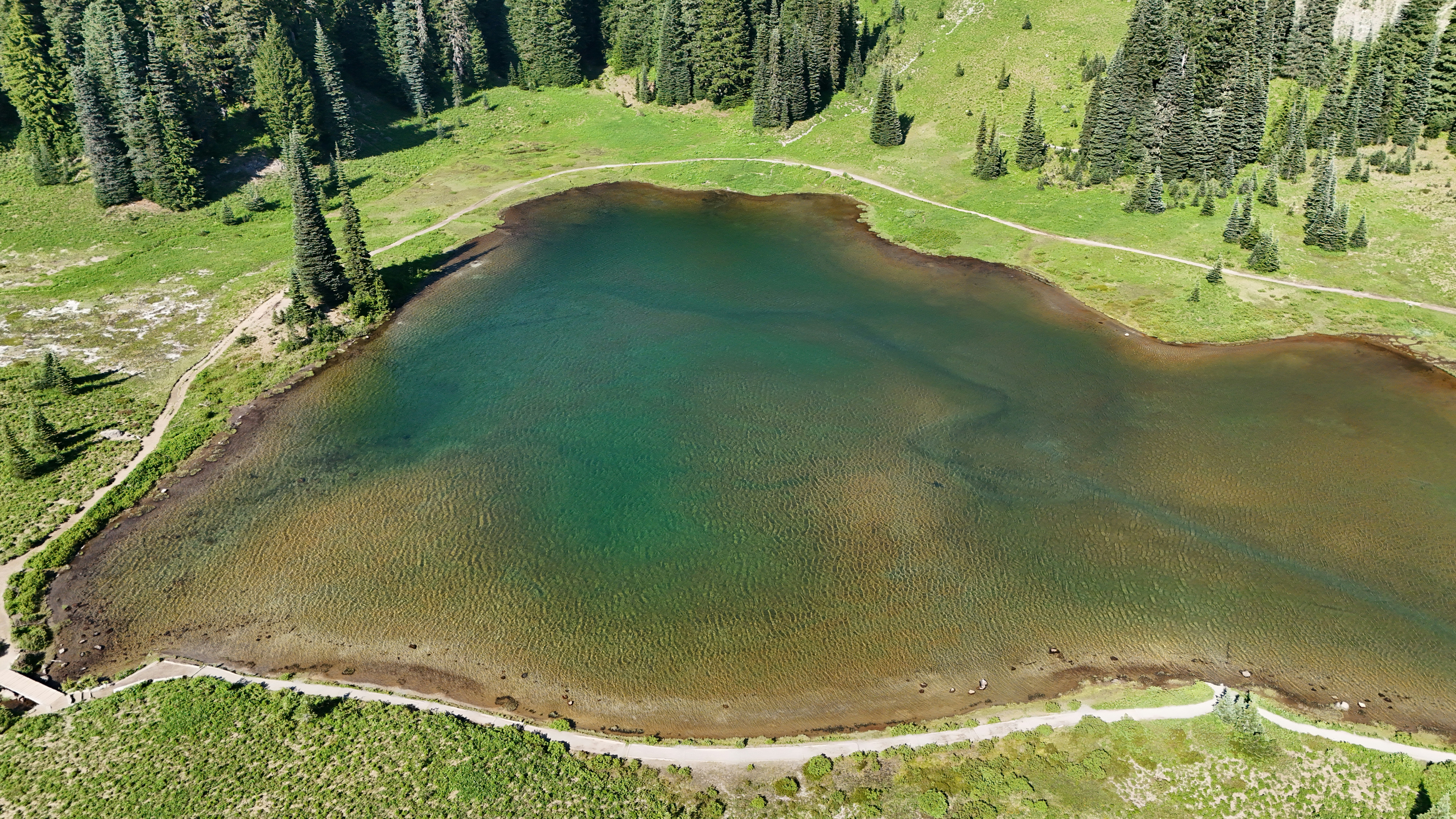 Highland Tarn: A Quiet Alpine Pool Fringed by Pines