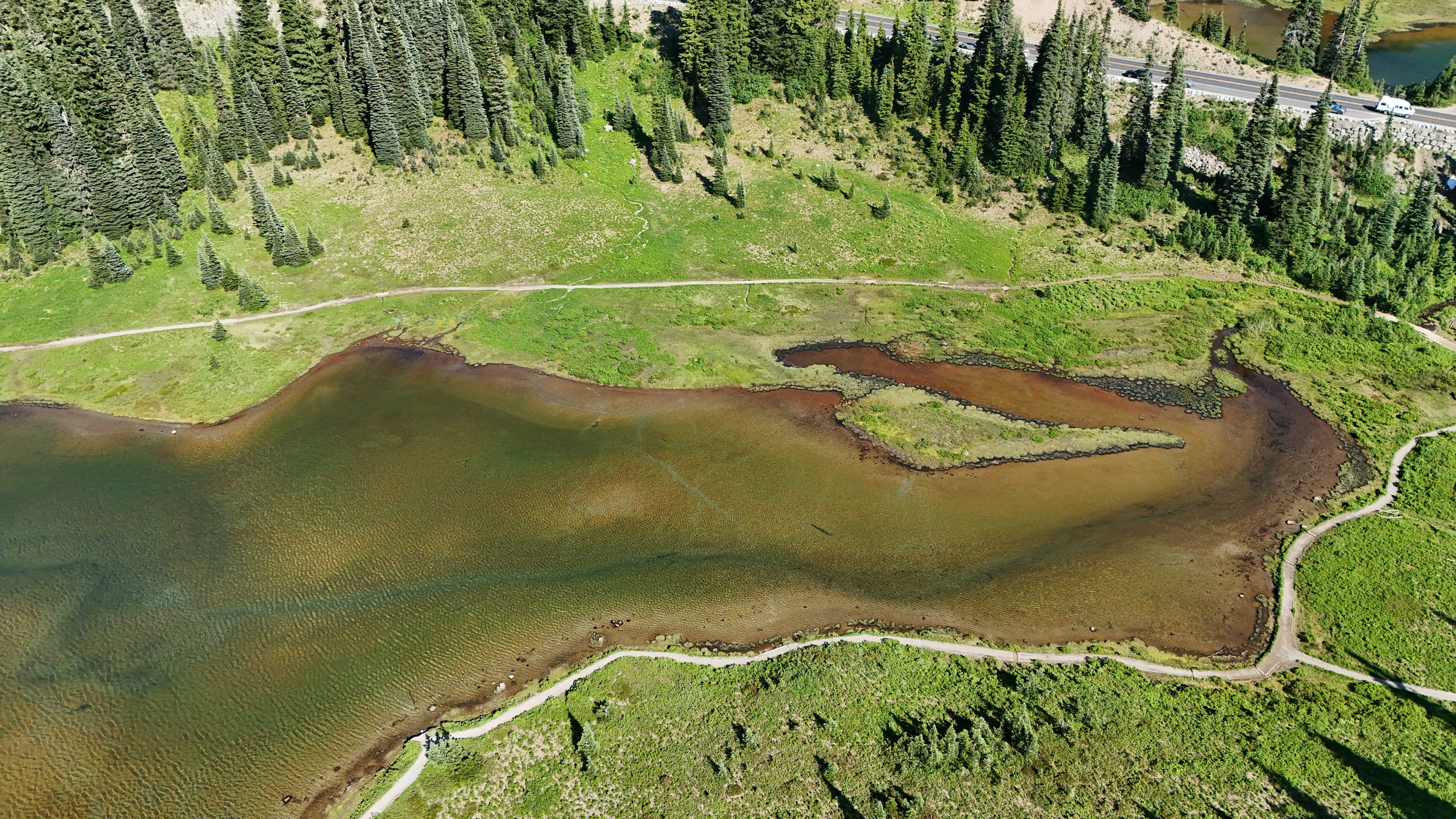 Verdant Lakebed Echoes: A Quiet Marsh Molds the Landscape