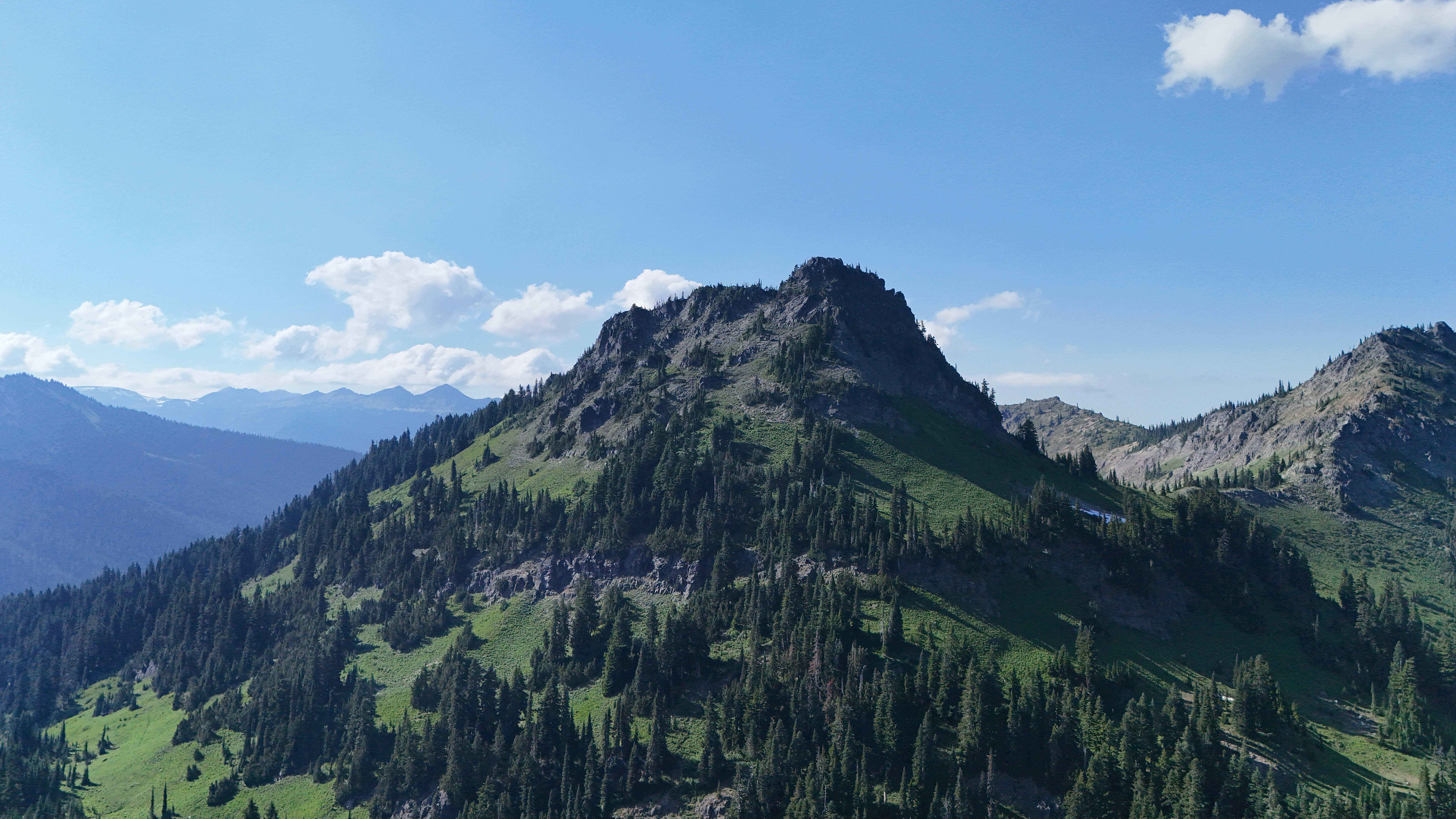 Peak Crown: A Meadowed Summit Under Clear Sky