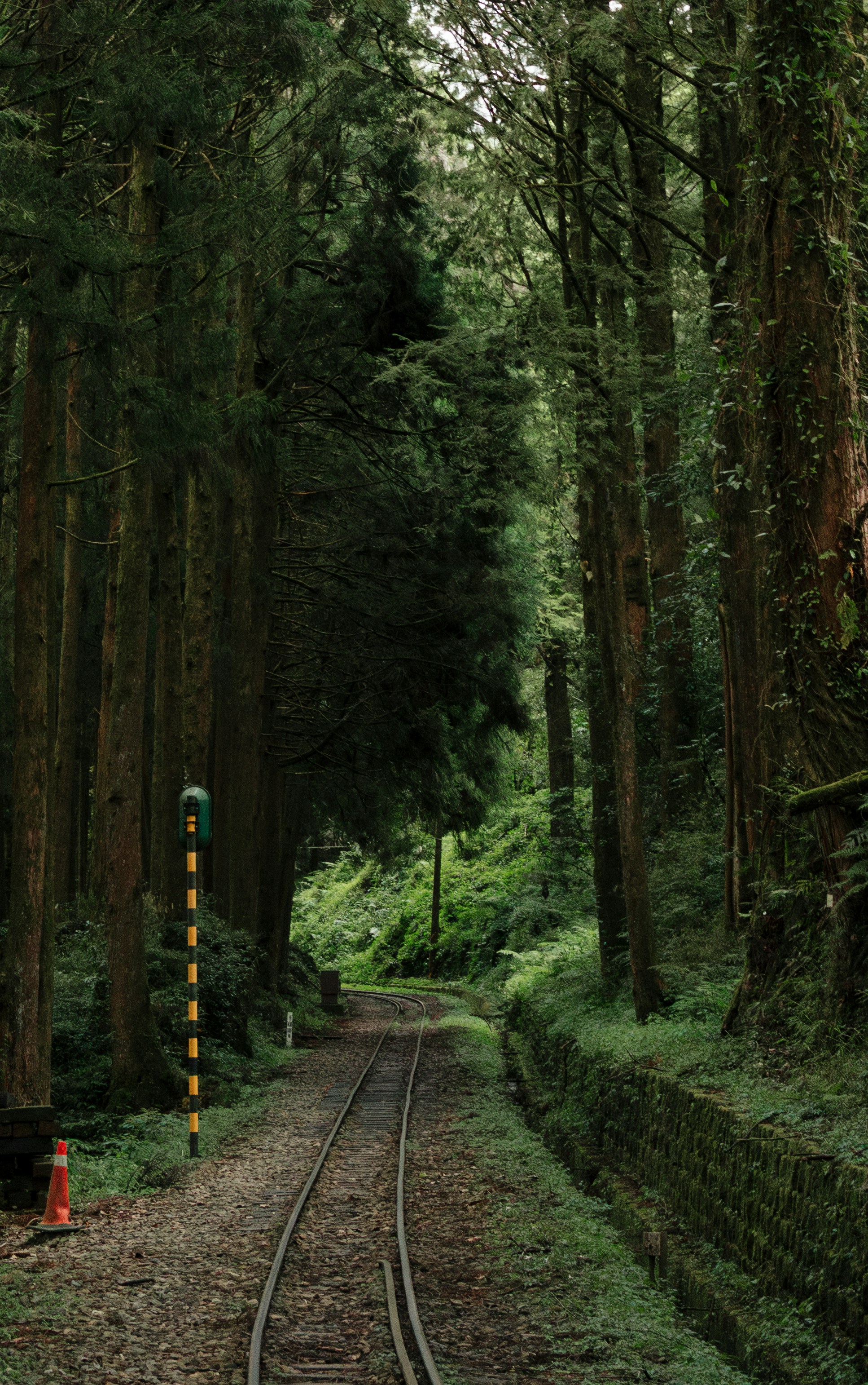 Rails through the Evergreen Aisle