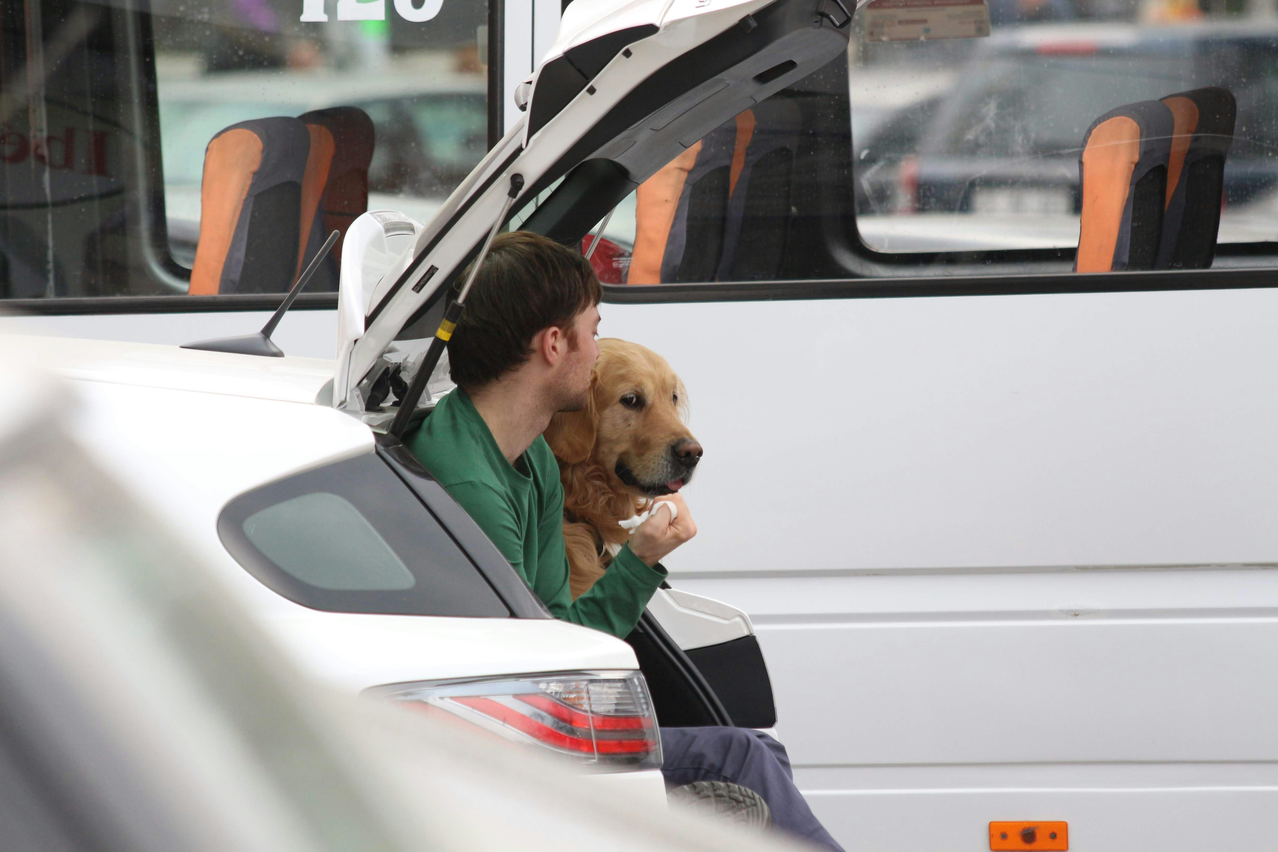 A Quiet Moment: Man and Golden Retriever Amid Bus ExteriorVitalie Sitnic