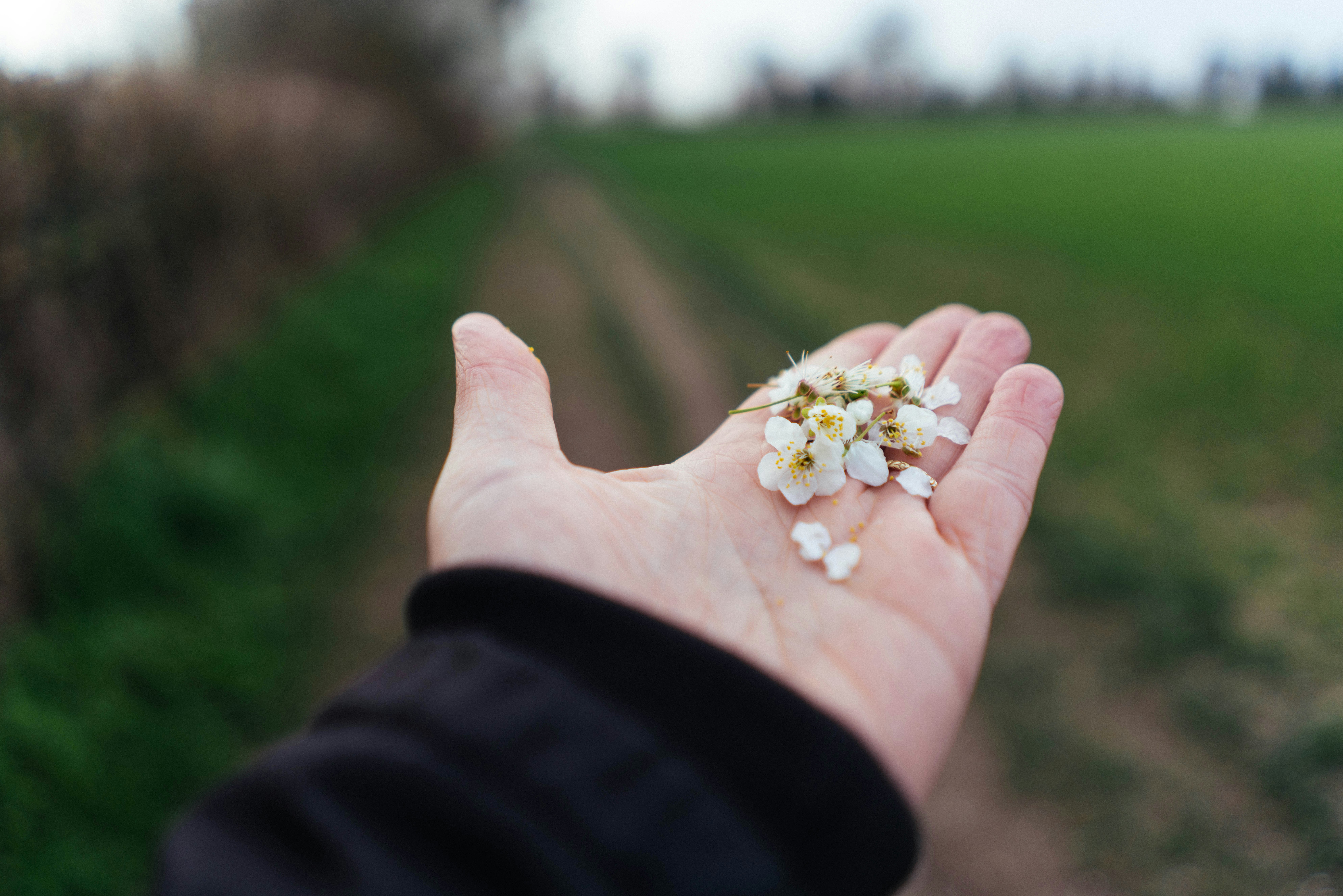 Handful of Wildflowers: A Moment Along the Path
