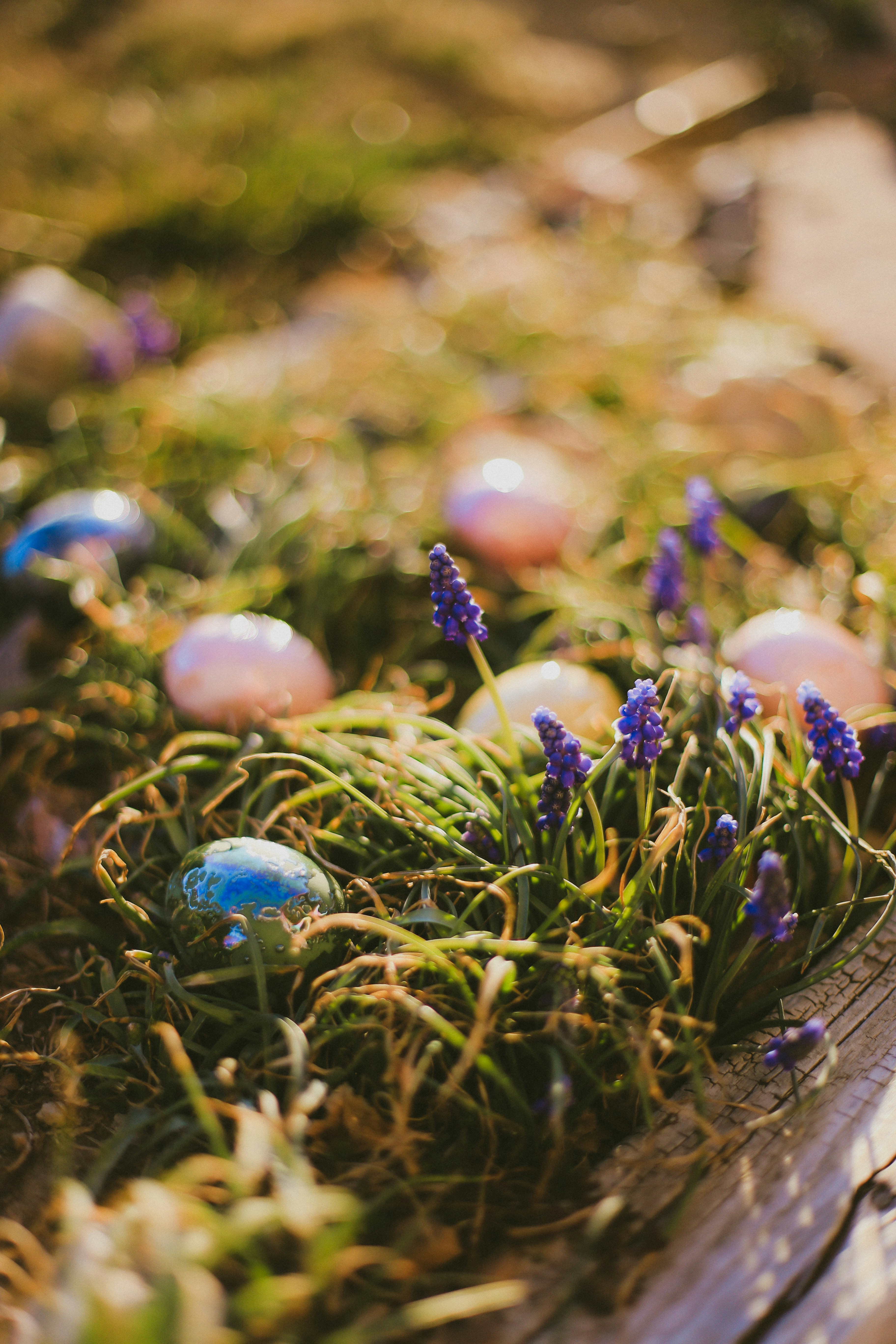 Pastel Easter Meadow: Painted Pebbles Among Purple Muscari
