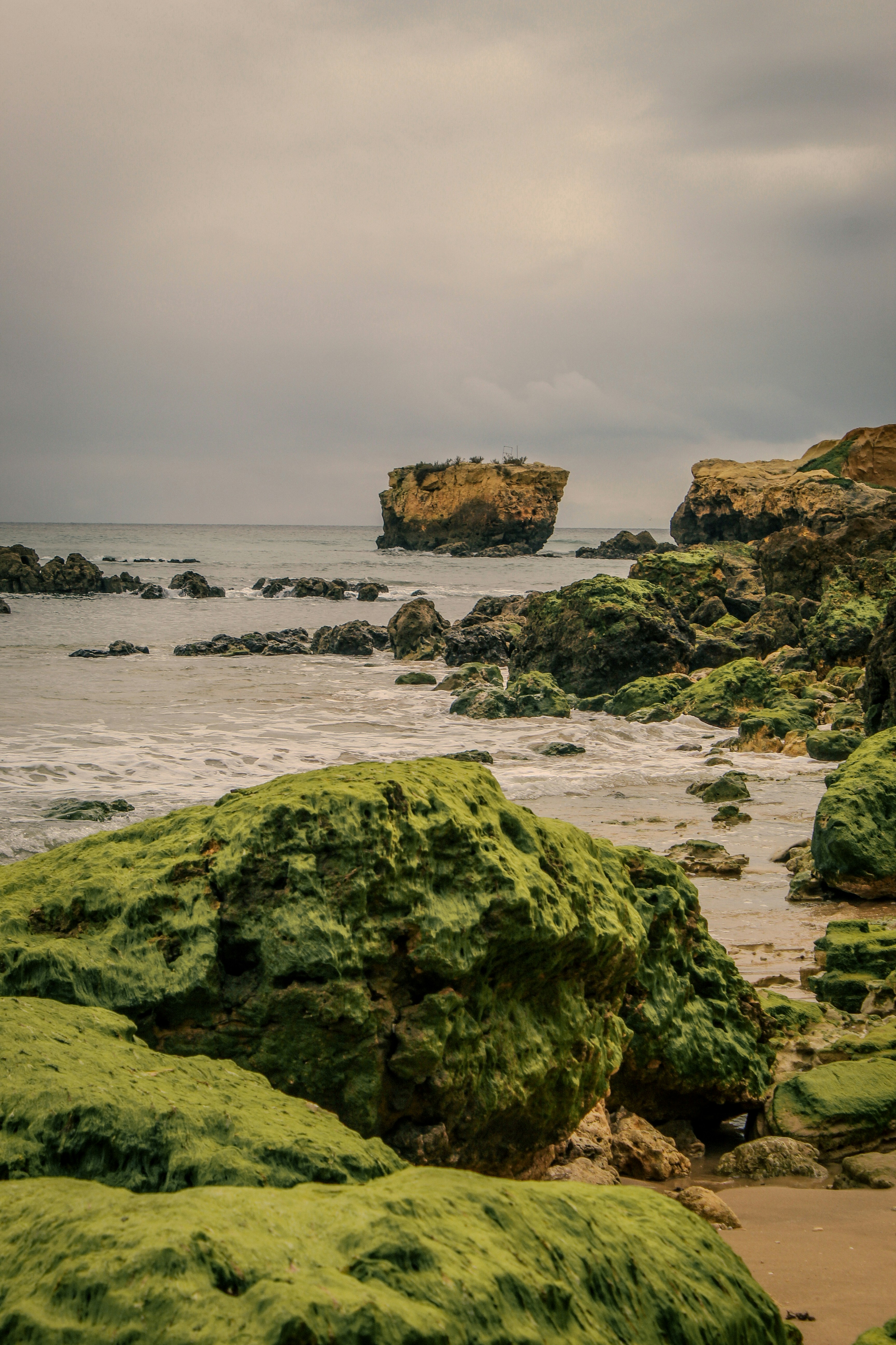 Green-streaked Seascape: Mossy Rocks Guard the Quiet Shore