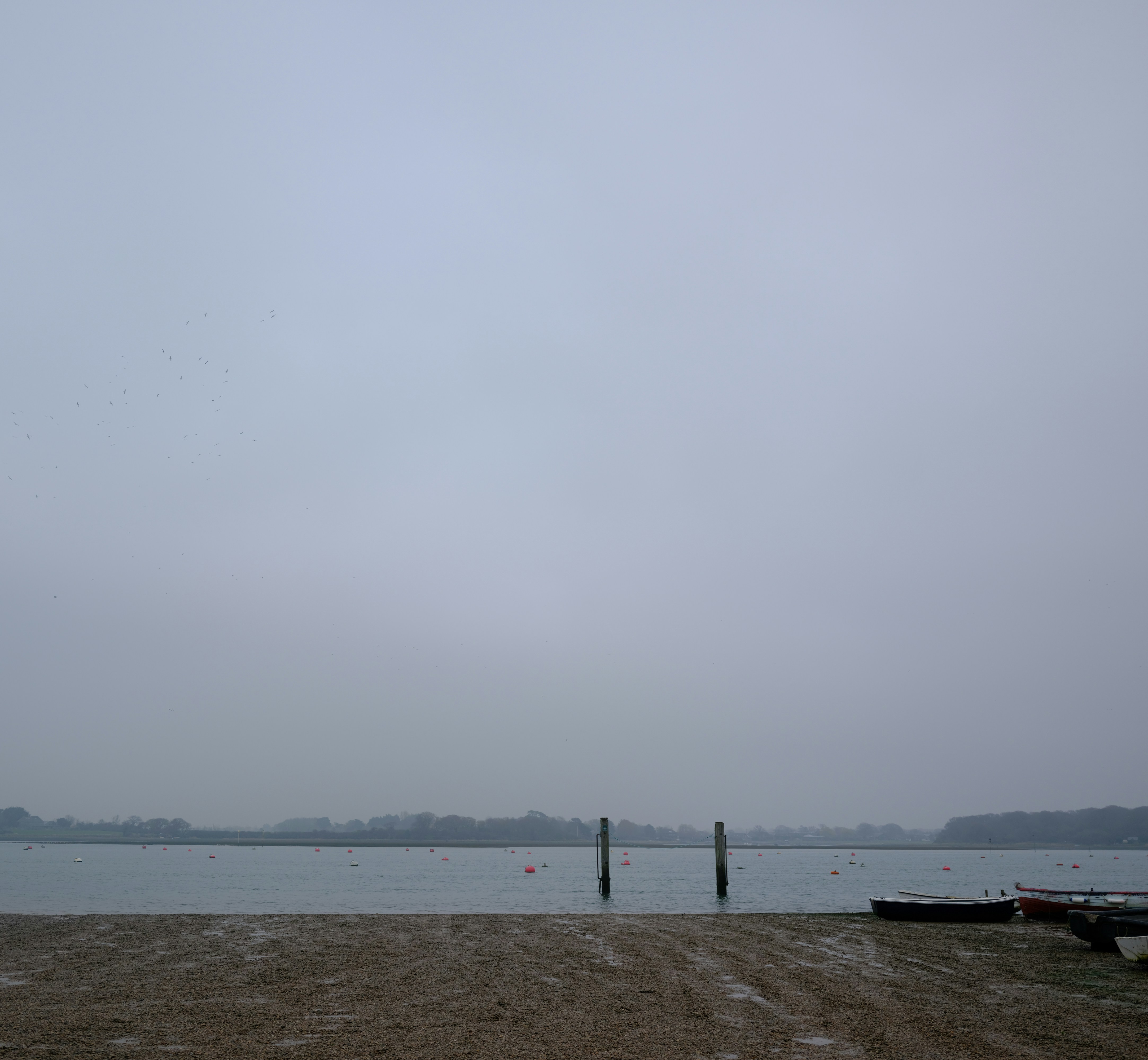 Misty Shoreline Quiet: Boats at Rest Under Gray Morning Sky