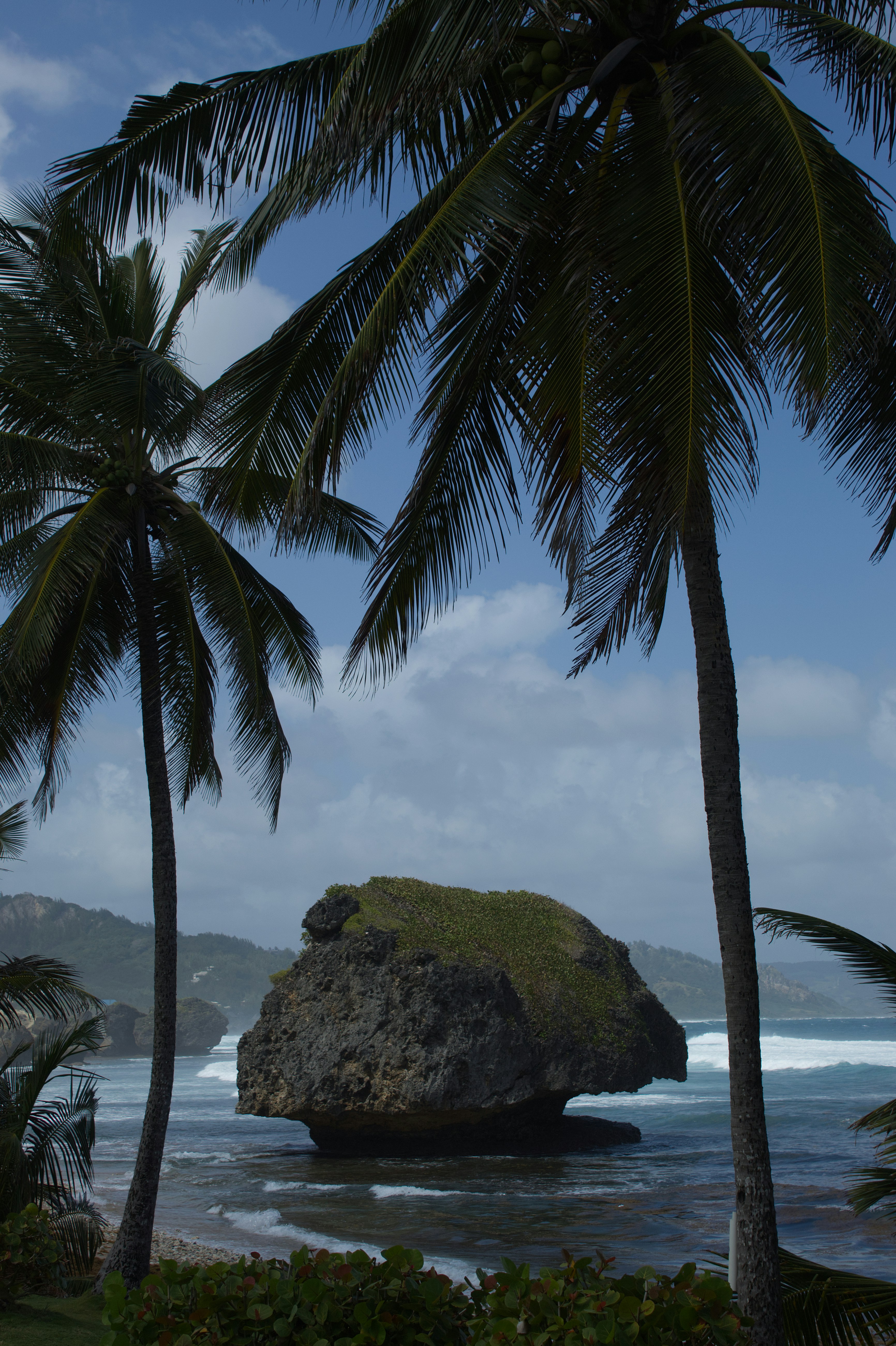 Rock Sentinel Beside a Fringing Beach under Palm Canopy