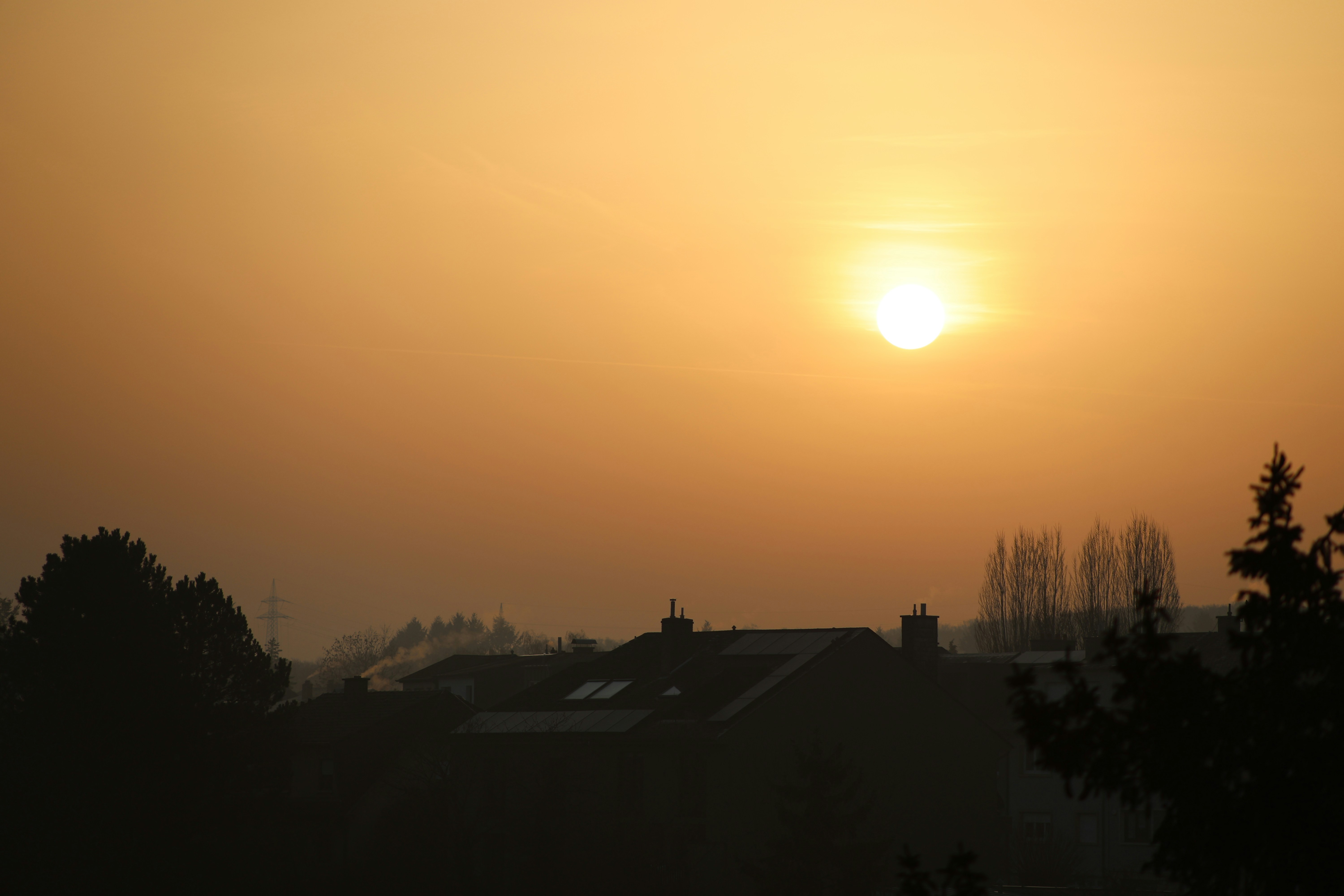 Sunlit Horizon Over Quiet Rooftops