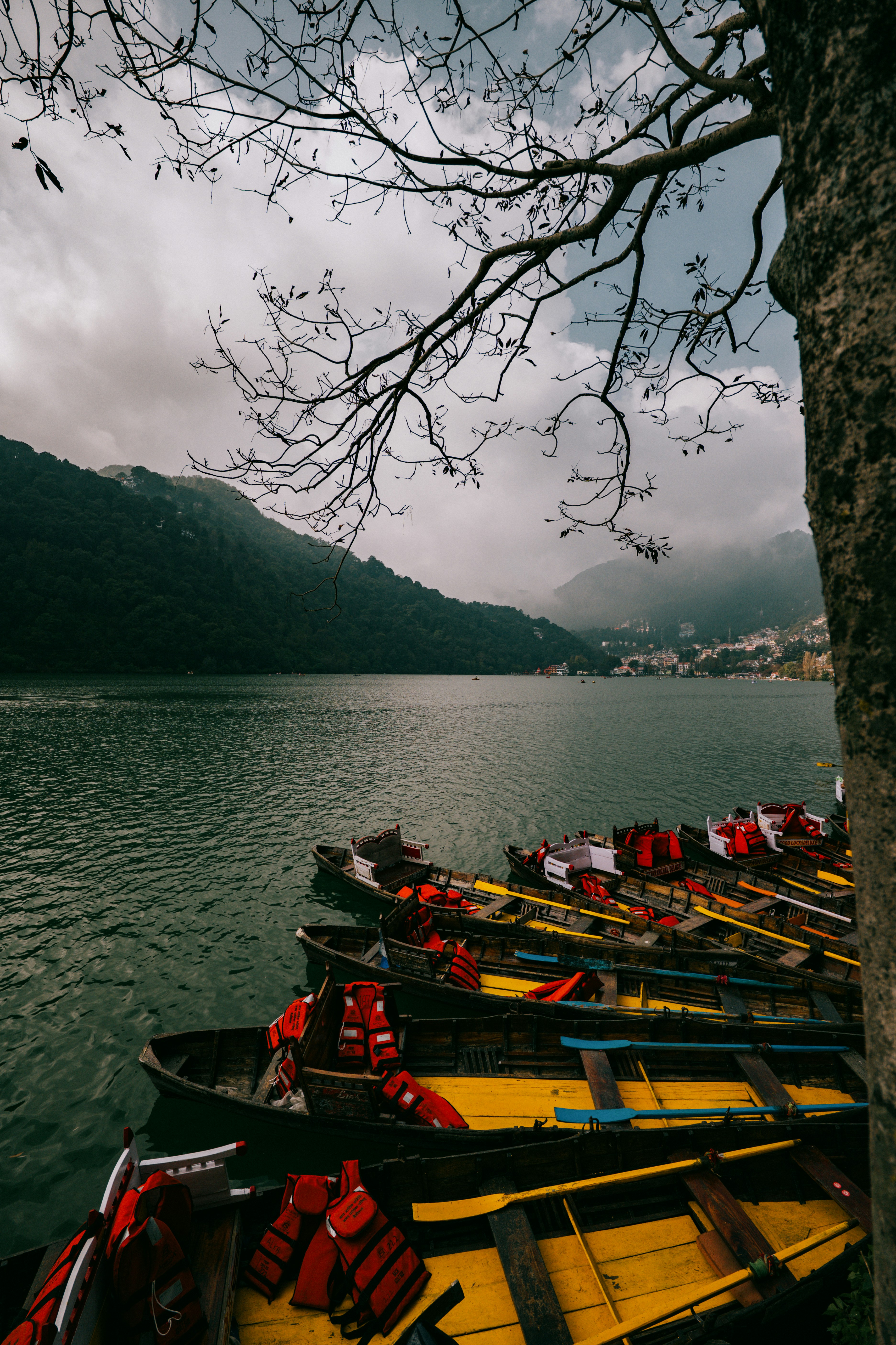 Colorful boats at a misty lakeside with tree branches framing the scene