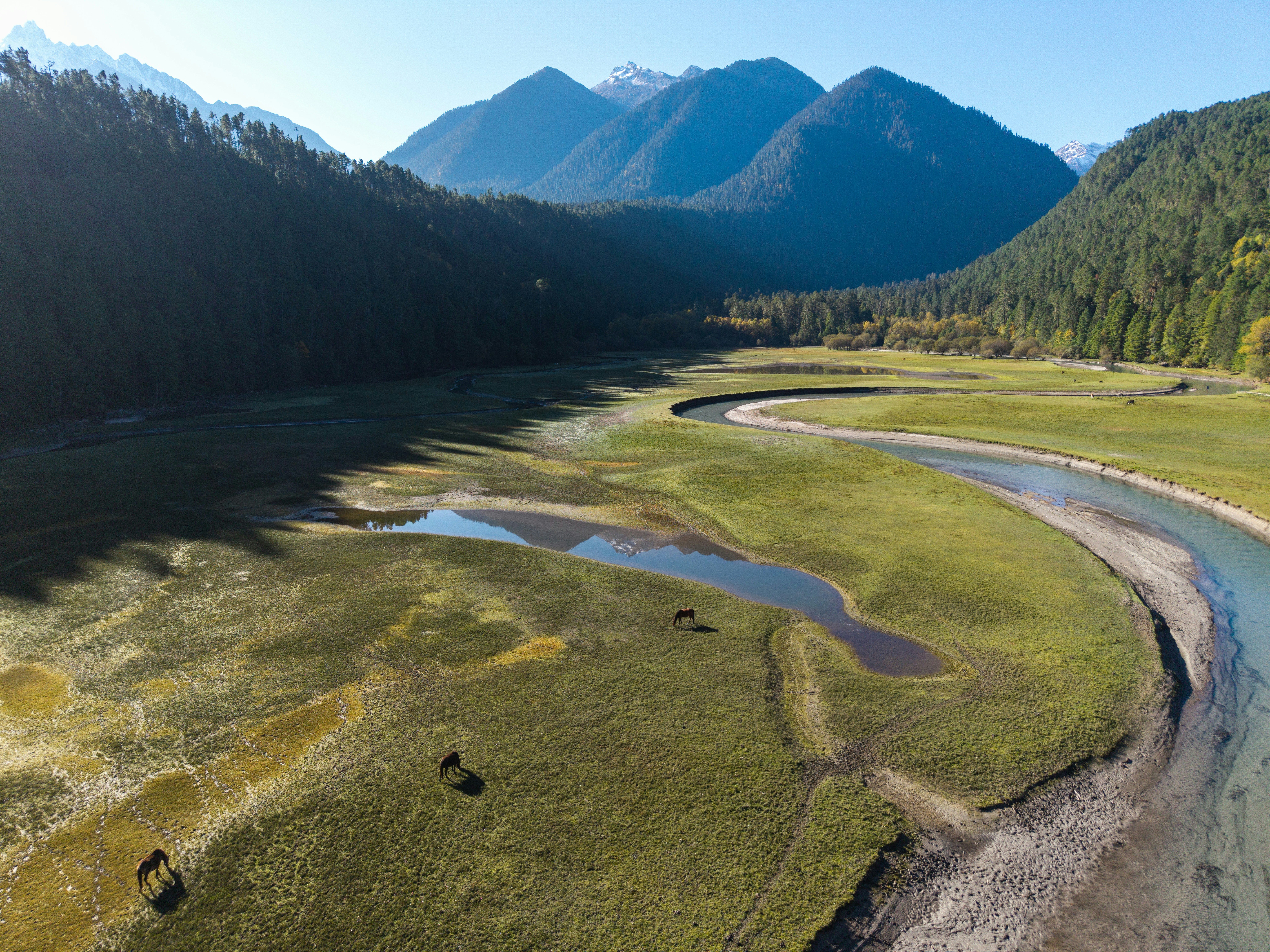 Meandering River Corridor beneath Majestic Alpine Peaks