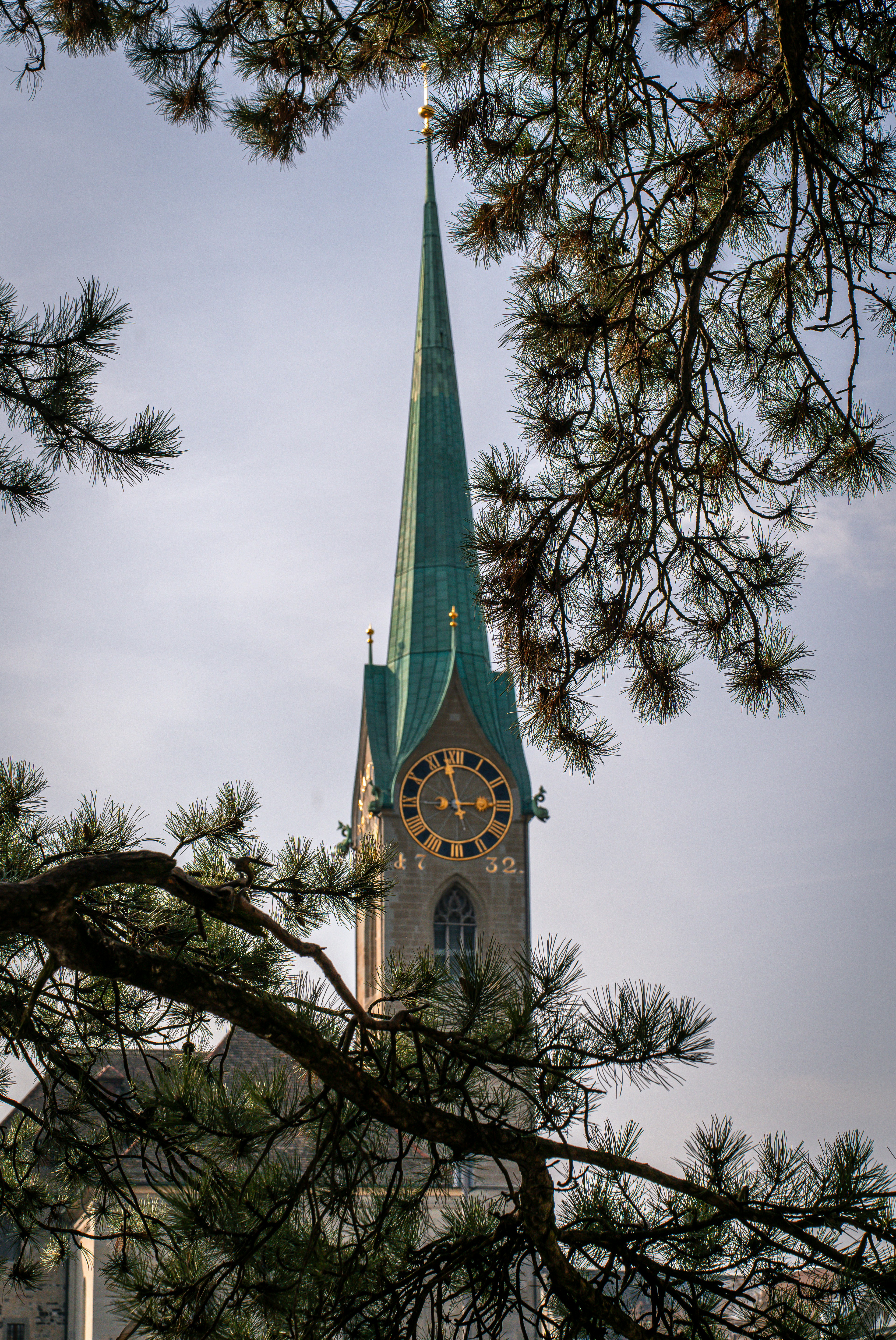 Clock Tower Pointing Through the Pines
