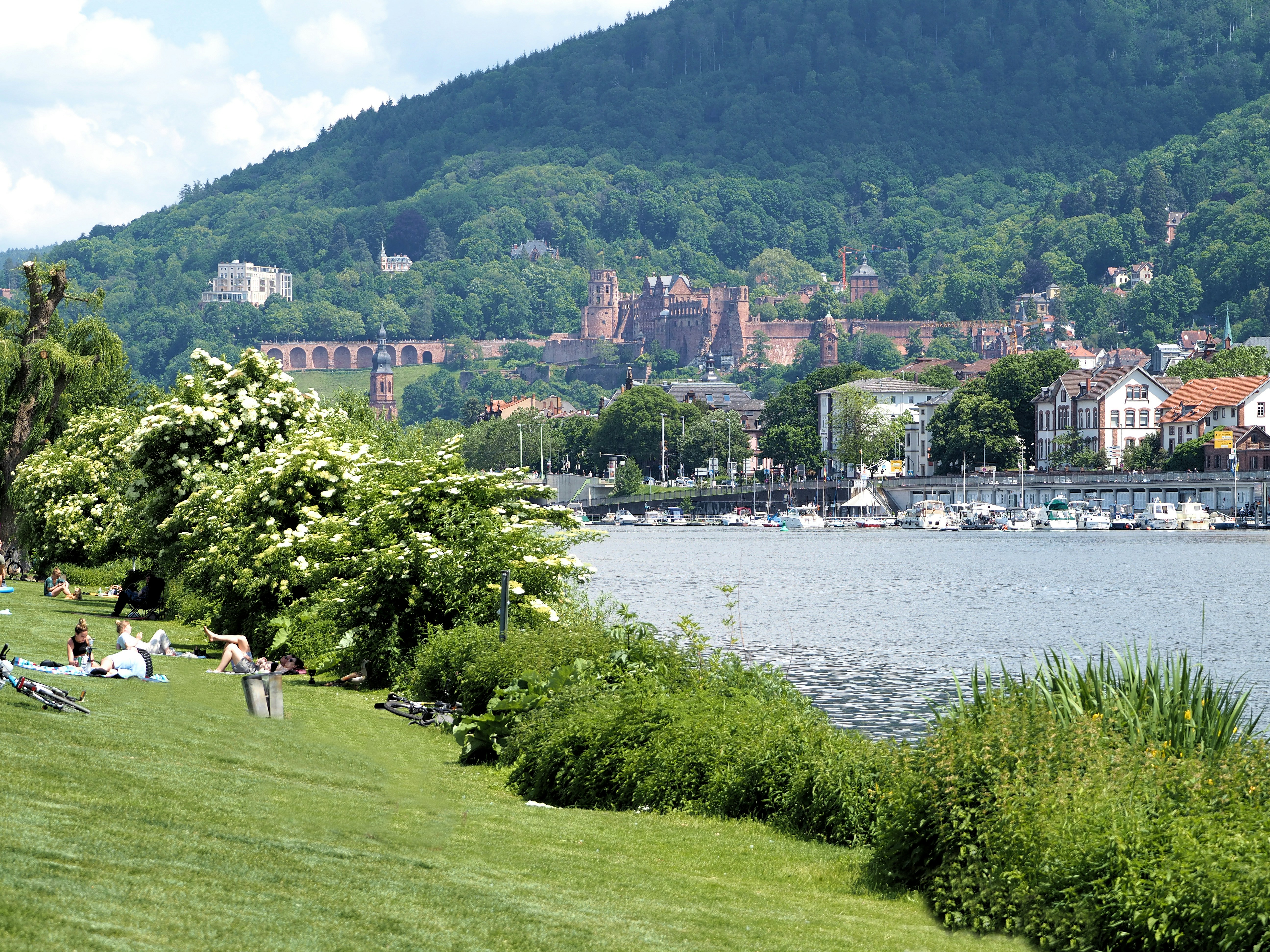 Lakeside Meadow with Historic Townscape Across the Water