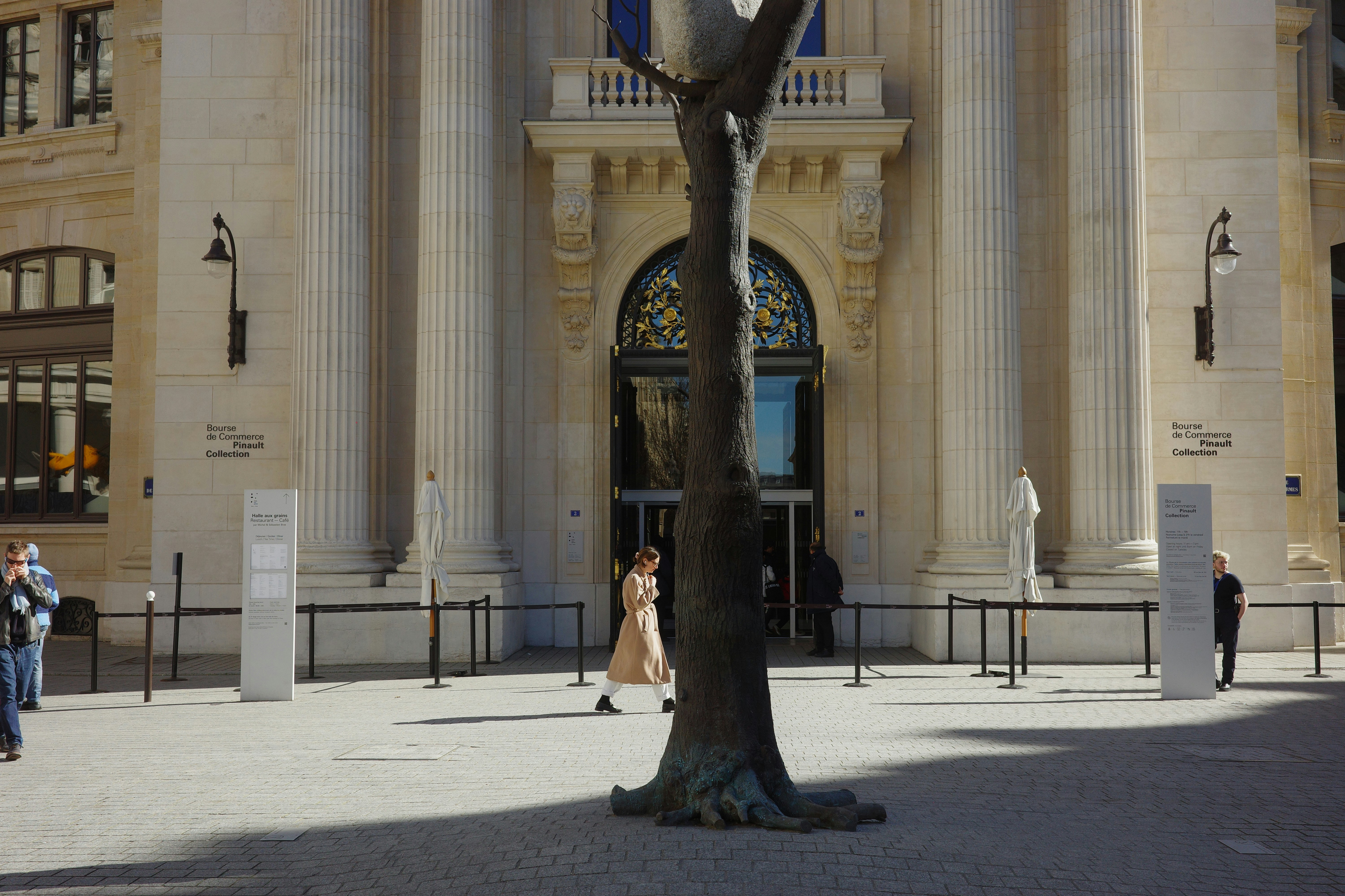 Central Tree, Grand Facade: Quiet Drama in Front of a Civic Building