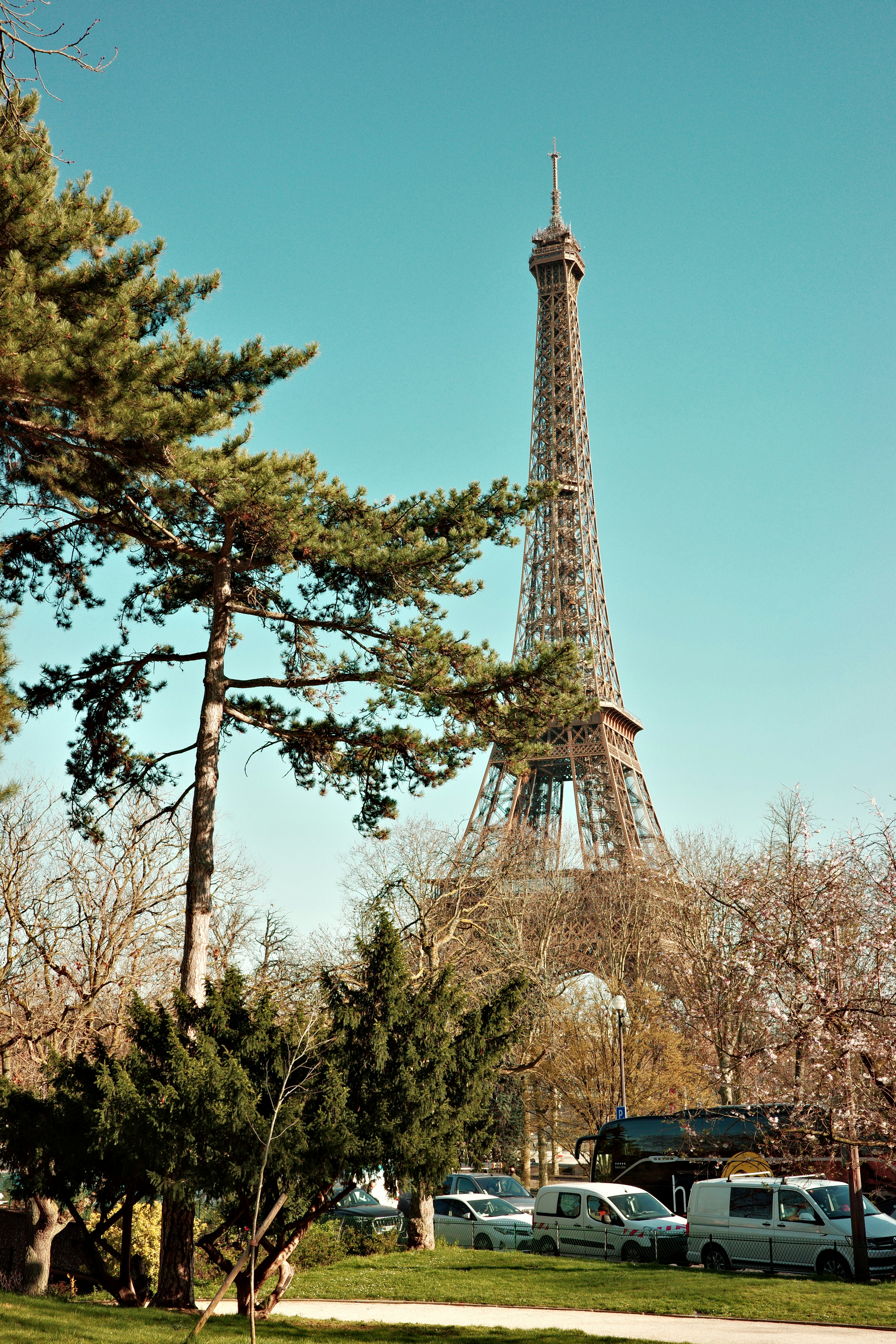 Parisian Iron Lace Under a Turquoise Sky