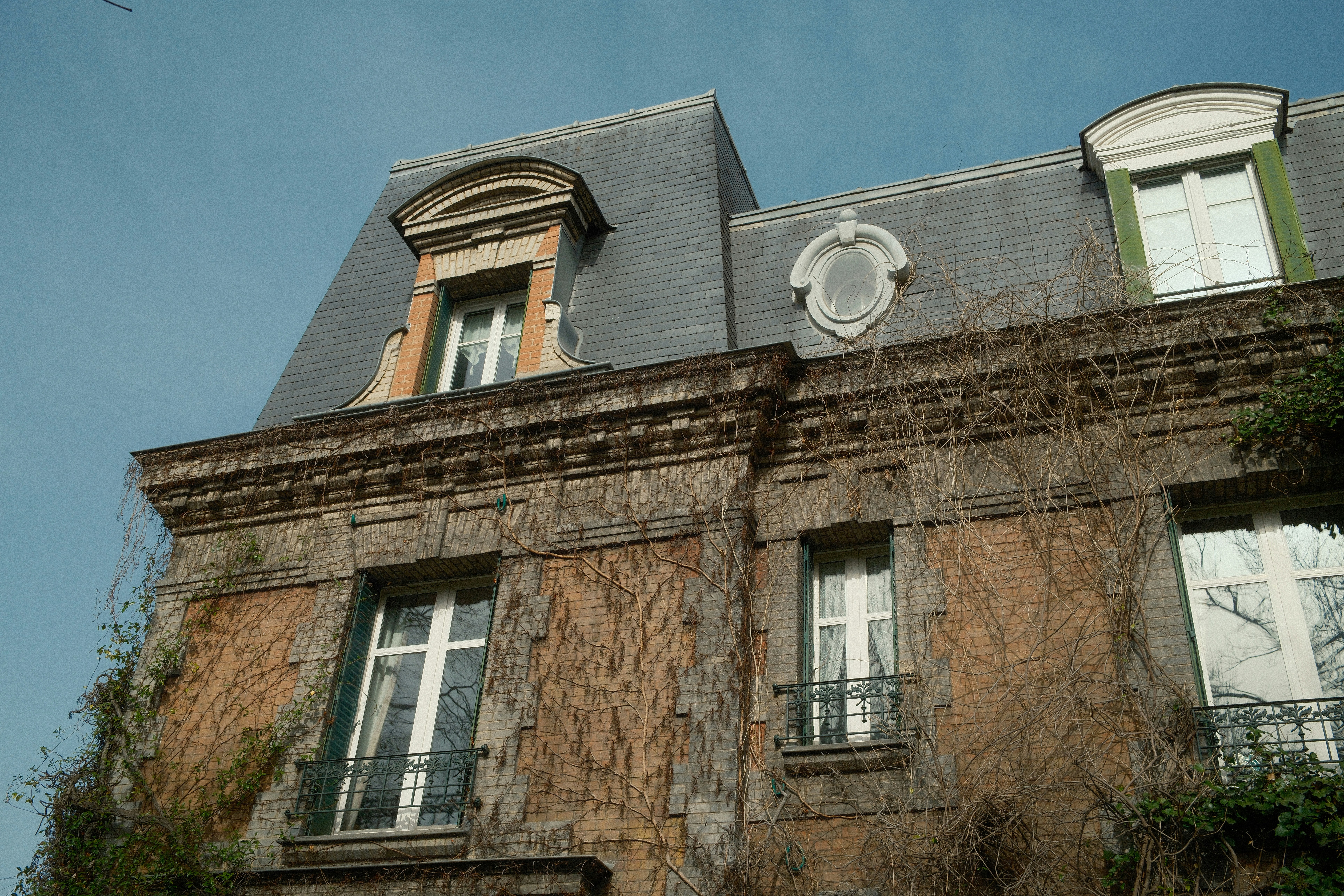 Old Parisian Facade Brought to Light by Winter Ivy