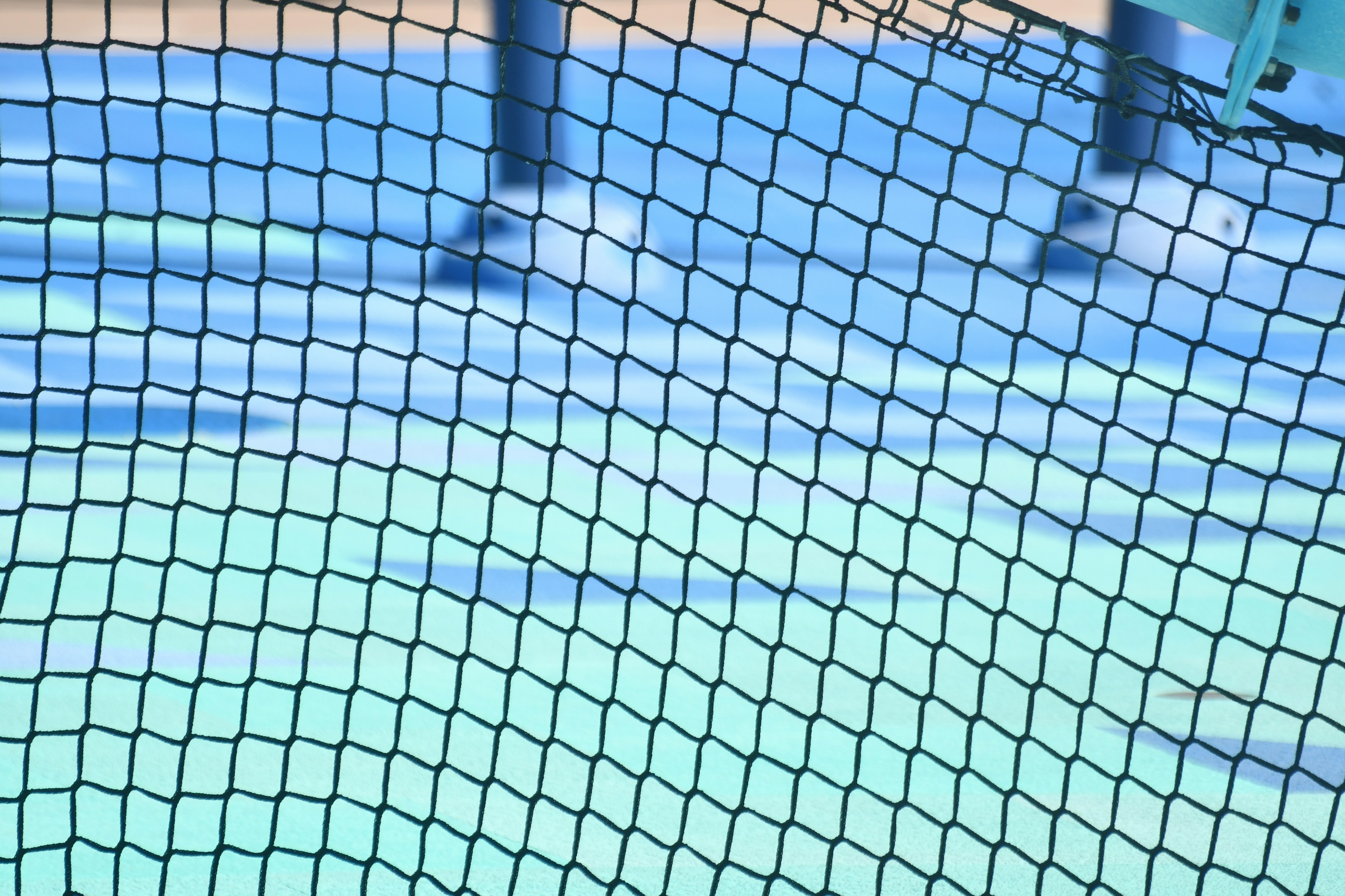 Chaotic Grid Over a Quiet Pool: Netting the Surface