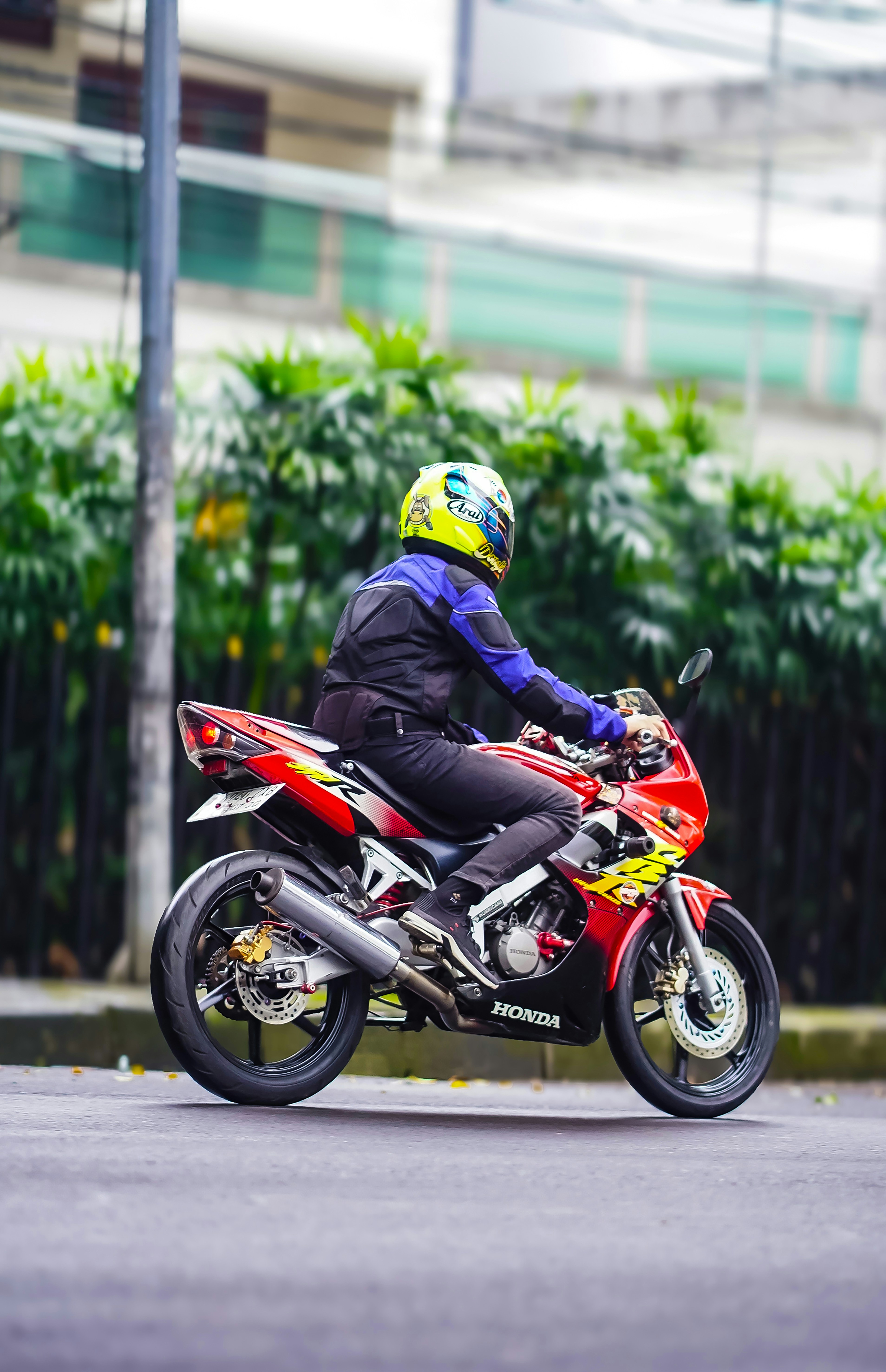 Rider in Profile: A Red Honda Seizes the Street
