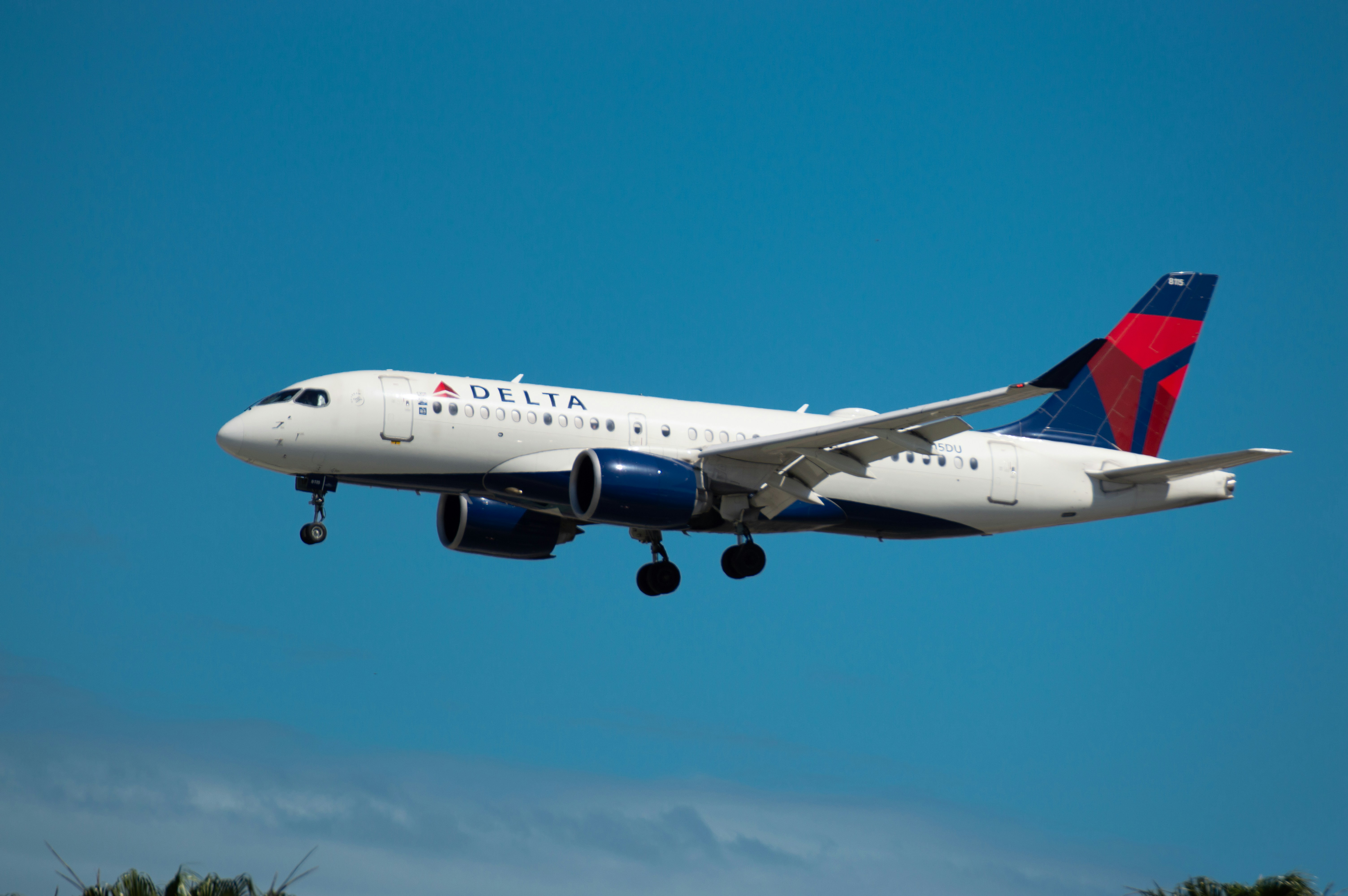 Delta in the Blue: A Mid-Flight Moment