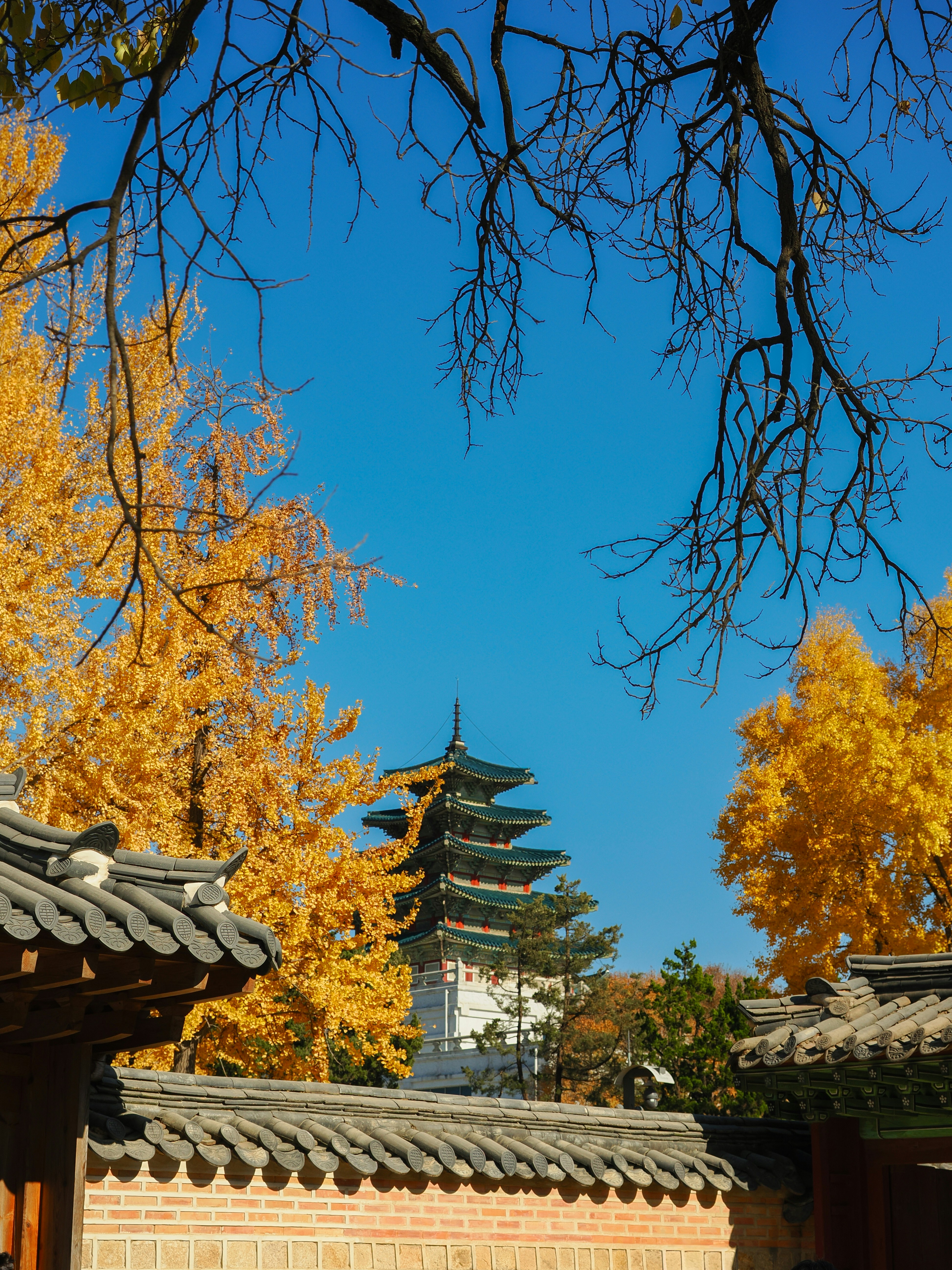 Gyeongbokgung Palace during Autumn season