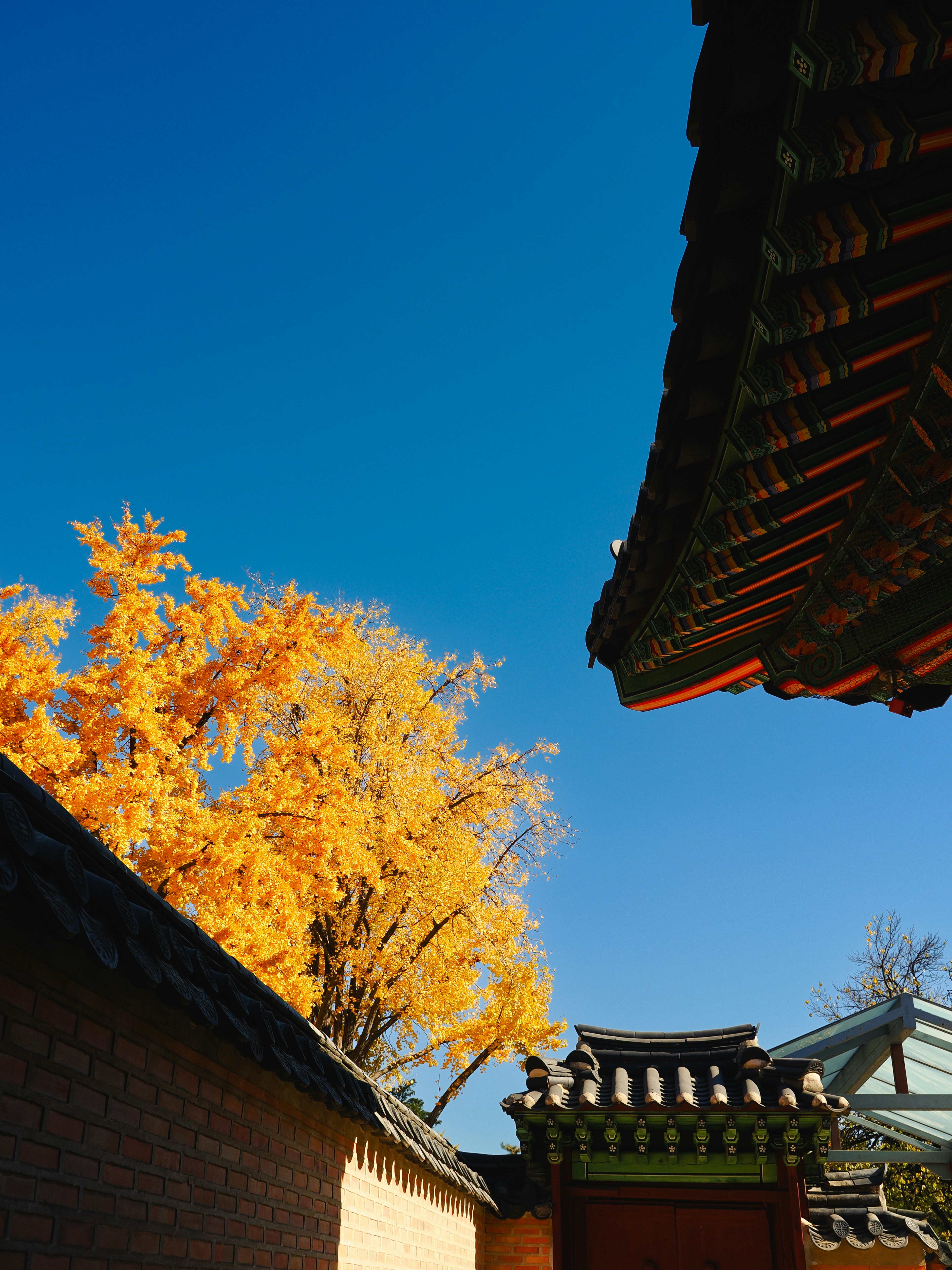 Gyeongbokgung Palace during Autumn season