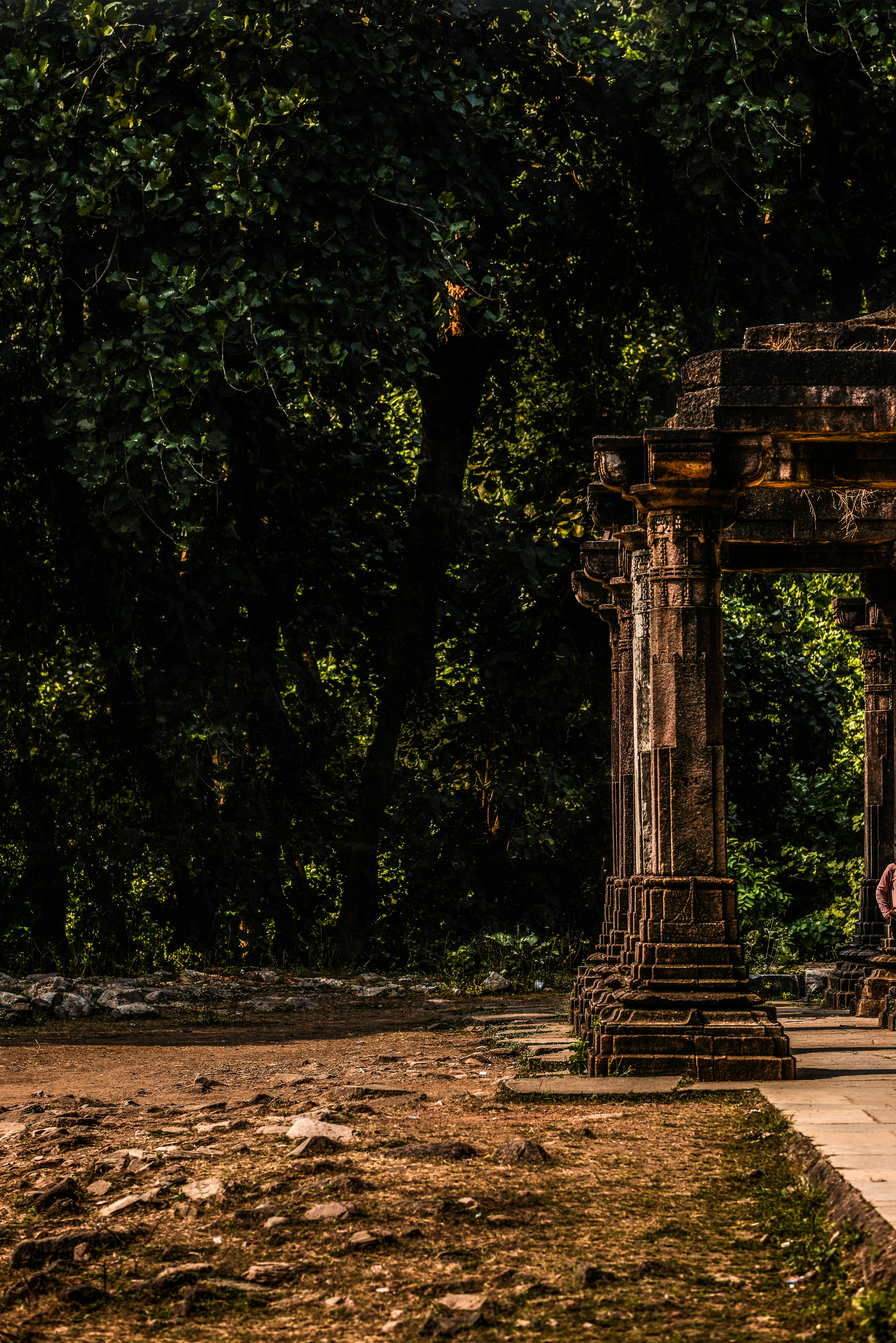 Stepped Ruins Framing a Dense Forest