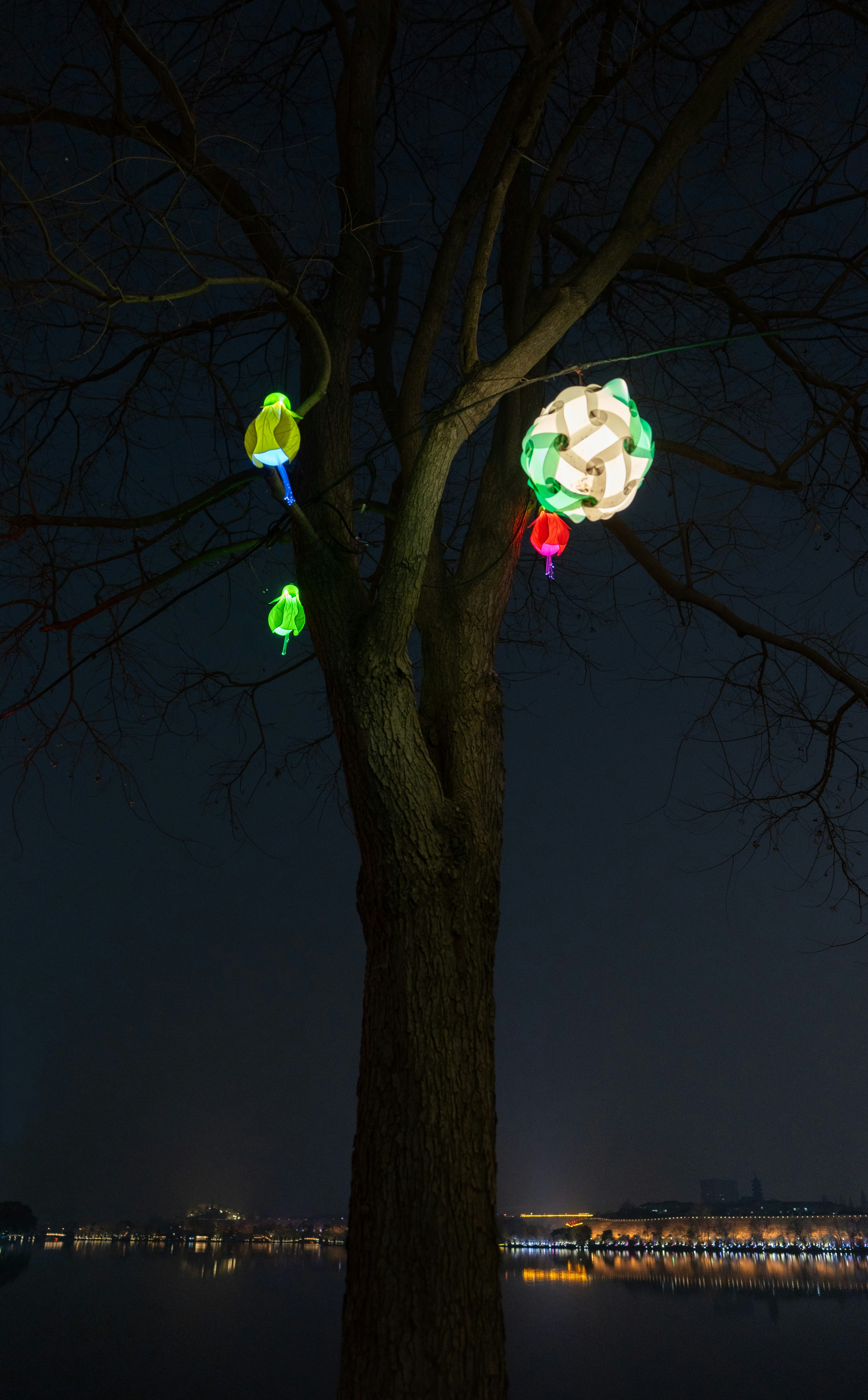 Glowing Lanterns Adrift in the Night Sky by the Lake