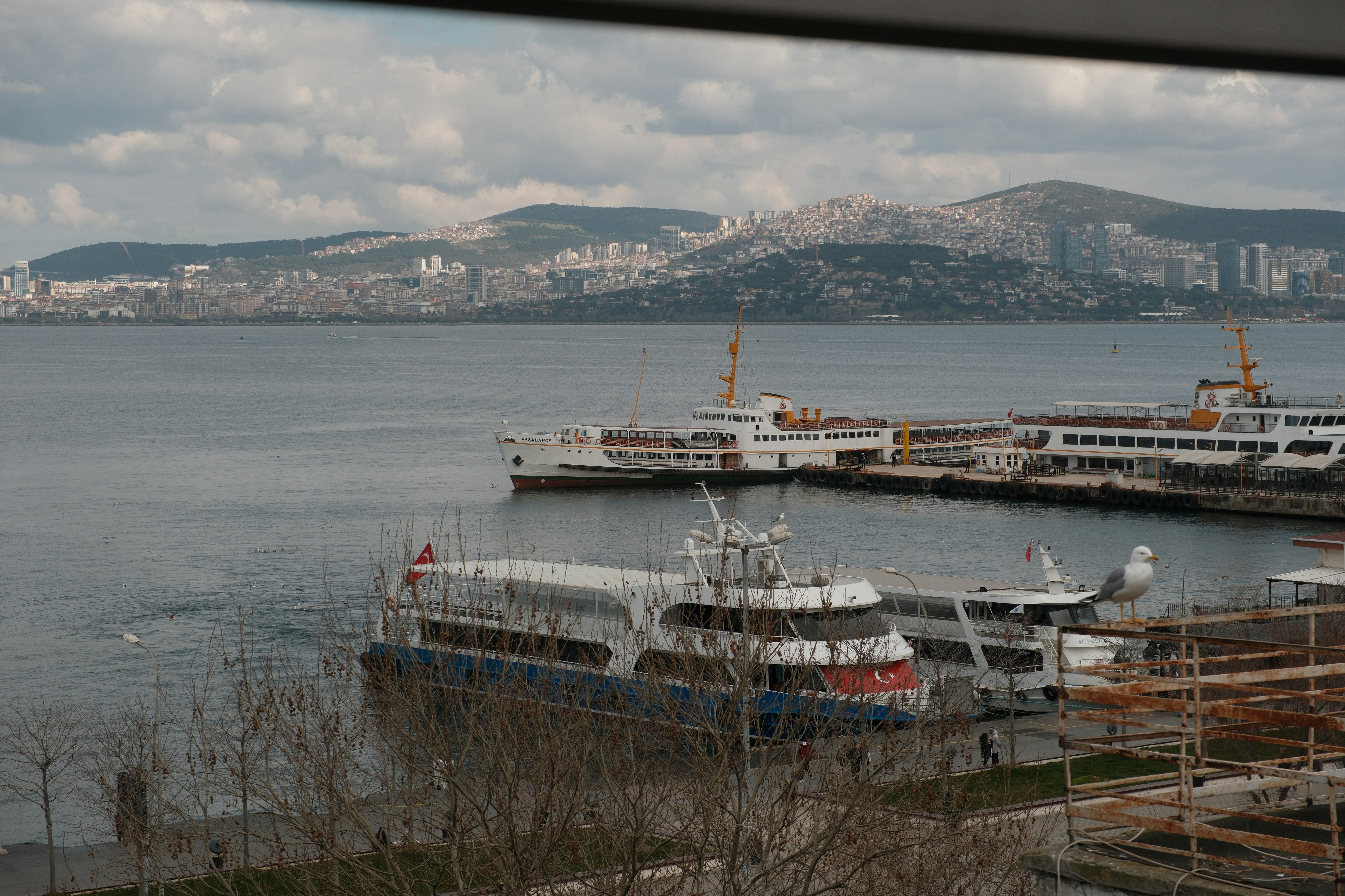 Harbor Pulse: Boats Rest at Gentle Dusk by the City
