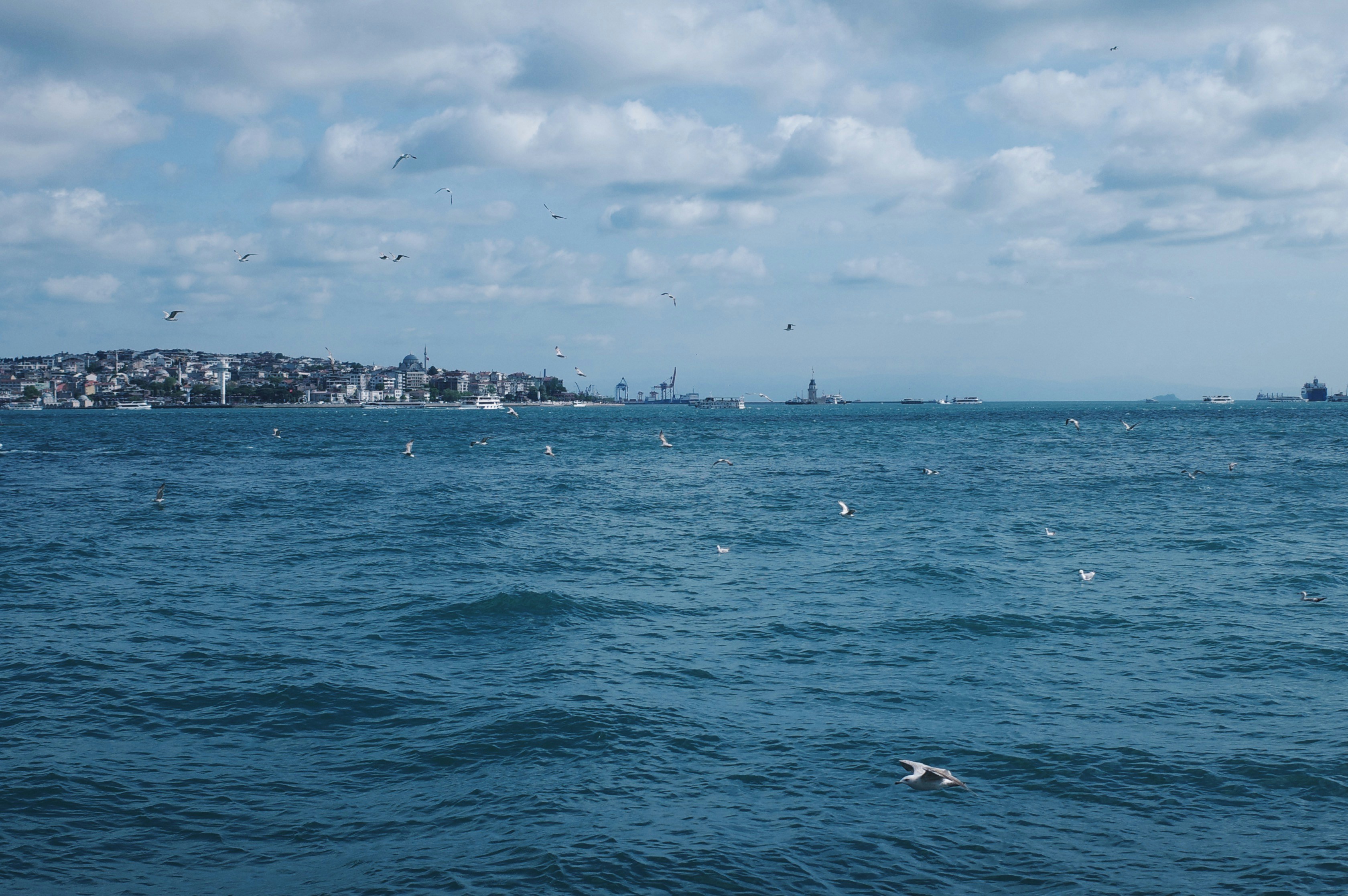 Sea Breeze over a Wind-Swept Horizon