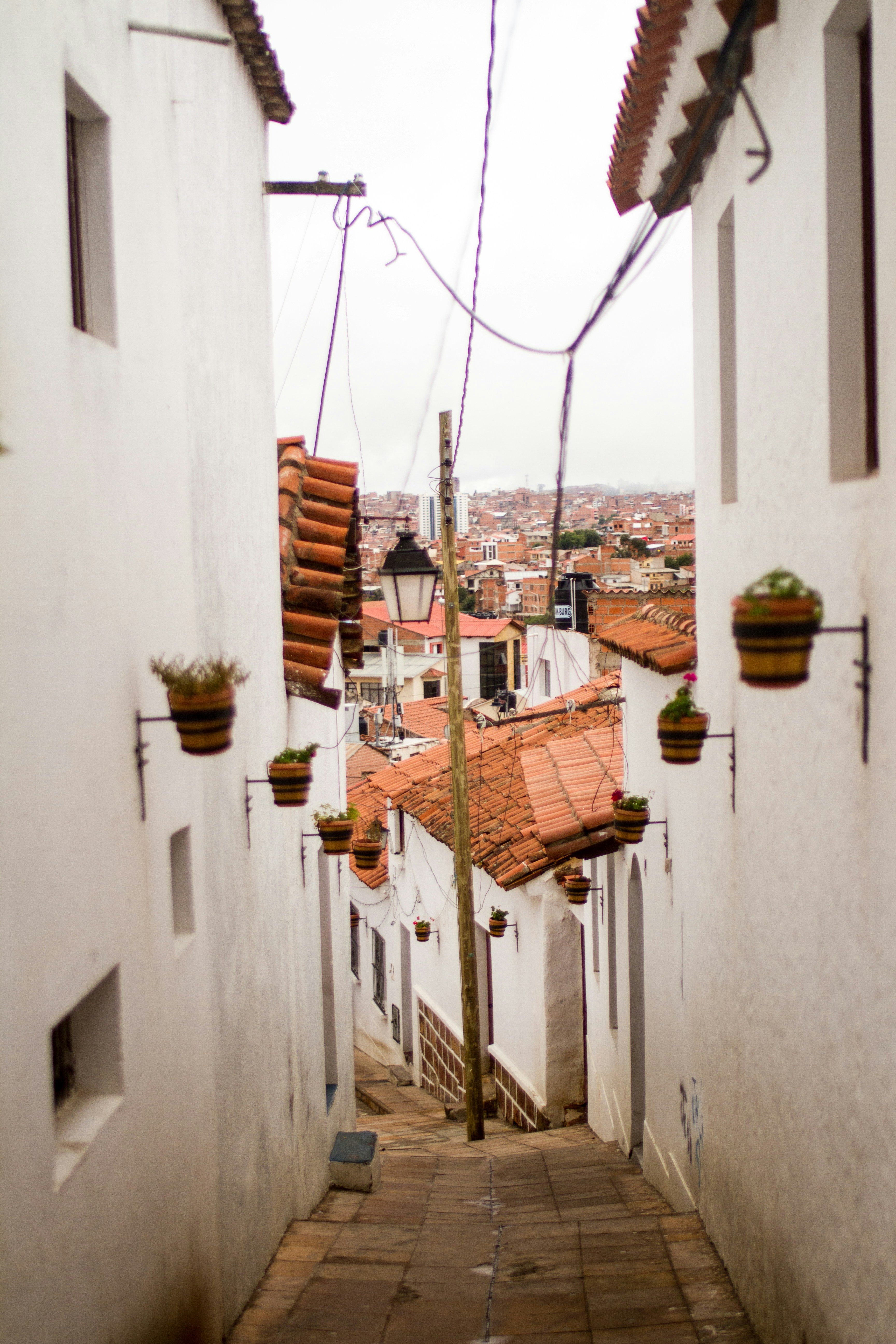 Narrow White Alleys and Red Tile Terrace Townscape