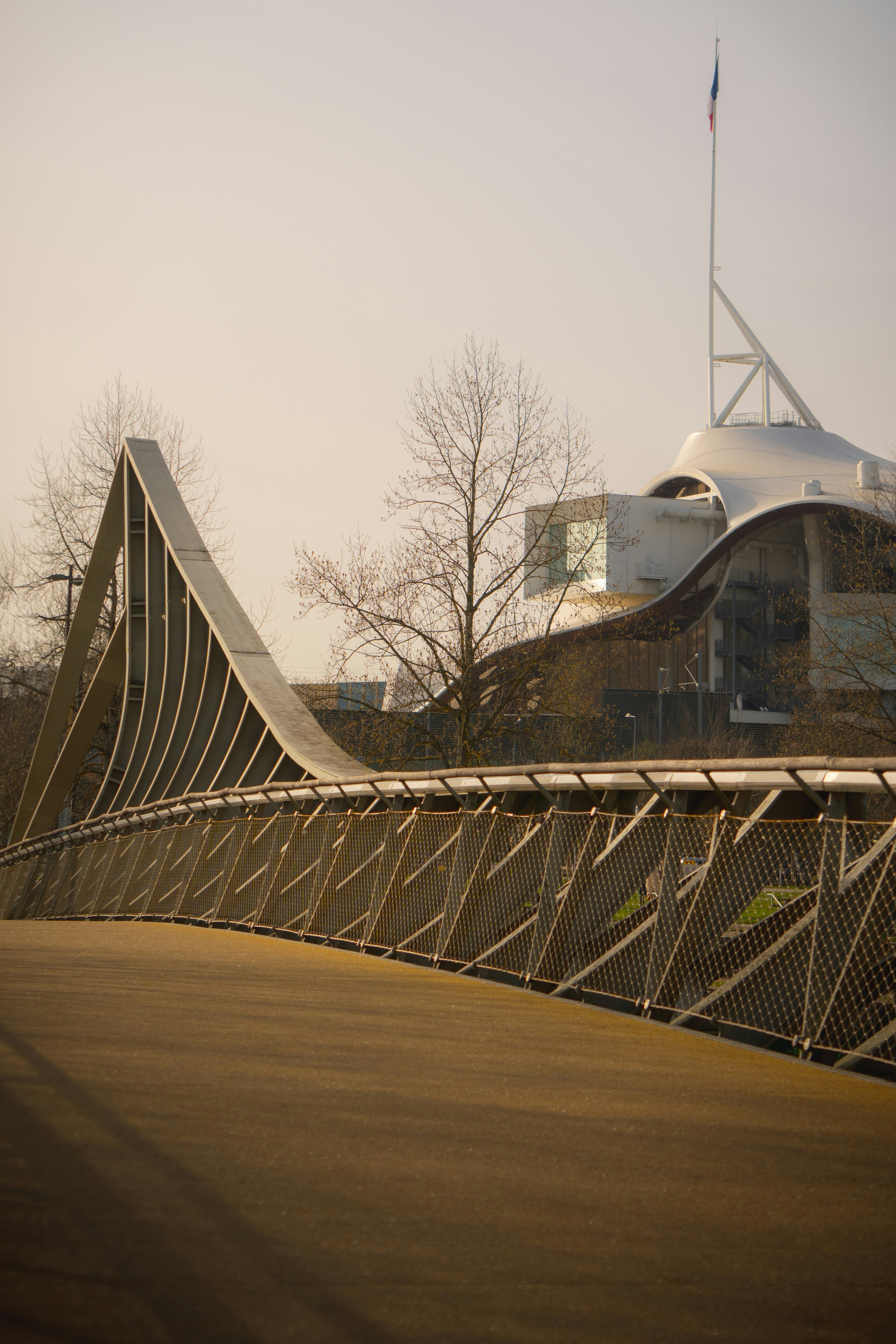 Curved Bridge Lines toward a Modern Skyline