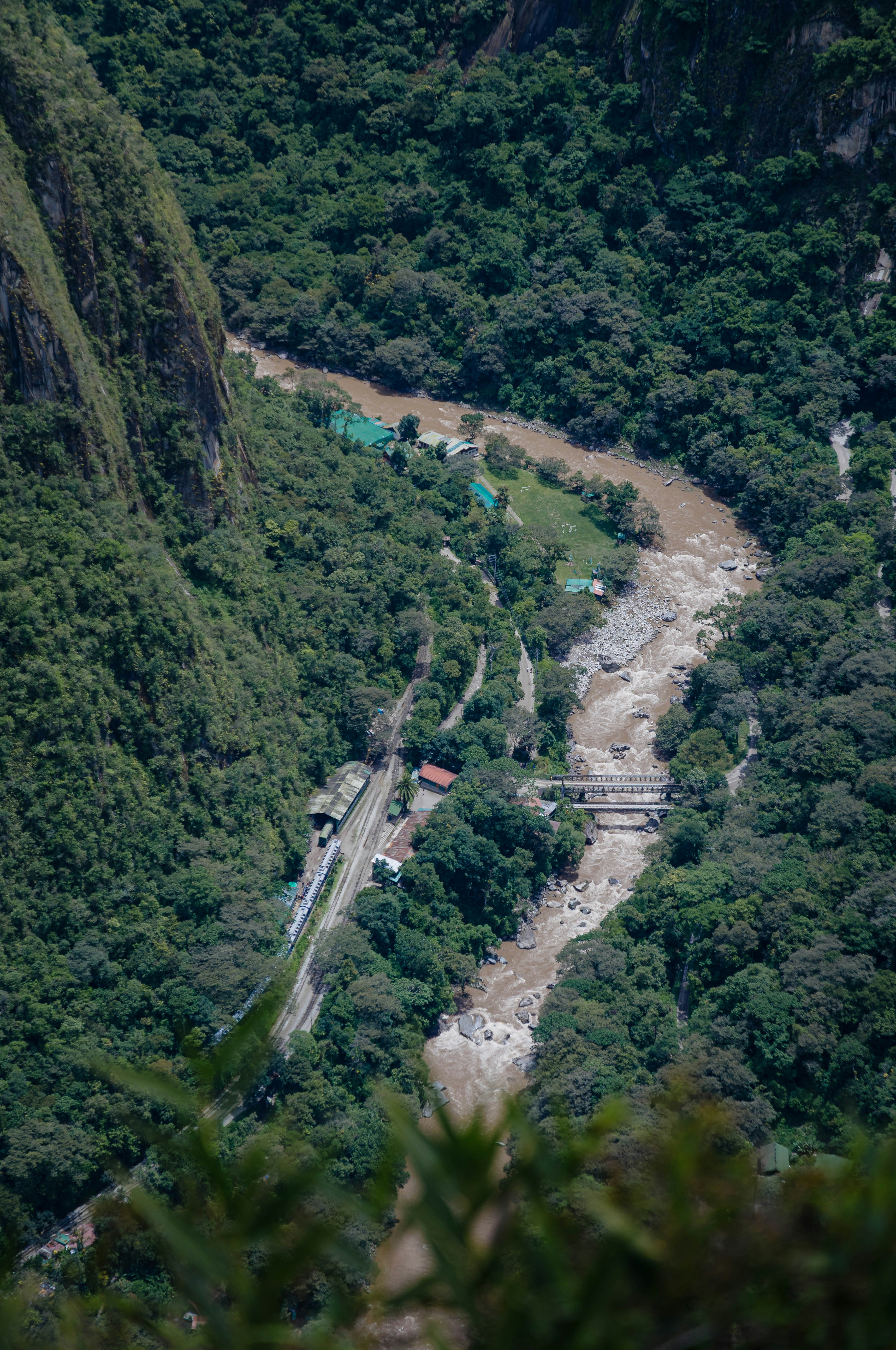 River Gorge Crossing: Aerial View of a Bridge Cut Through Verdant Vines