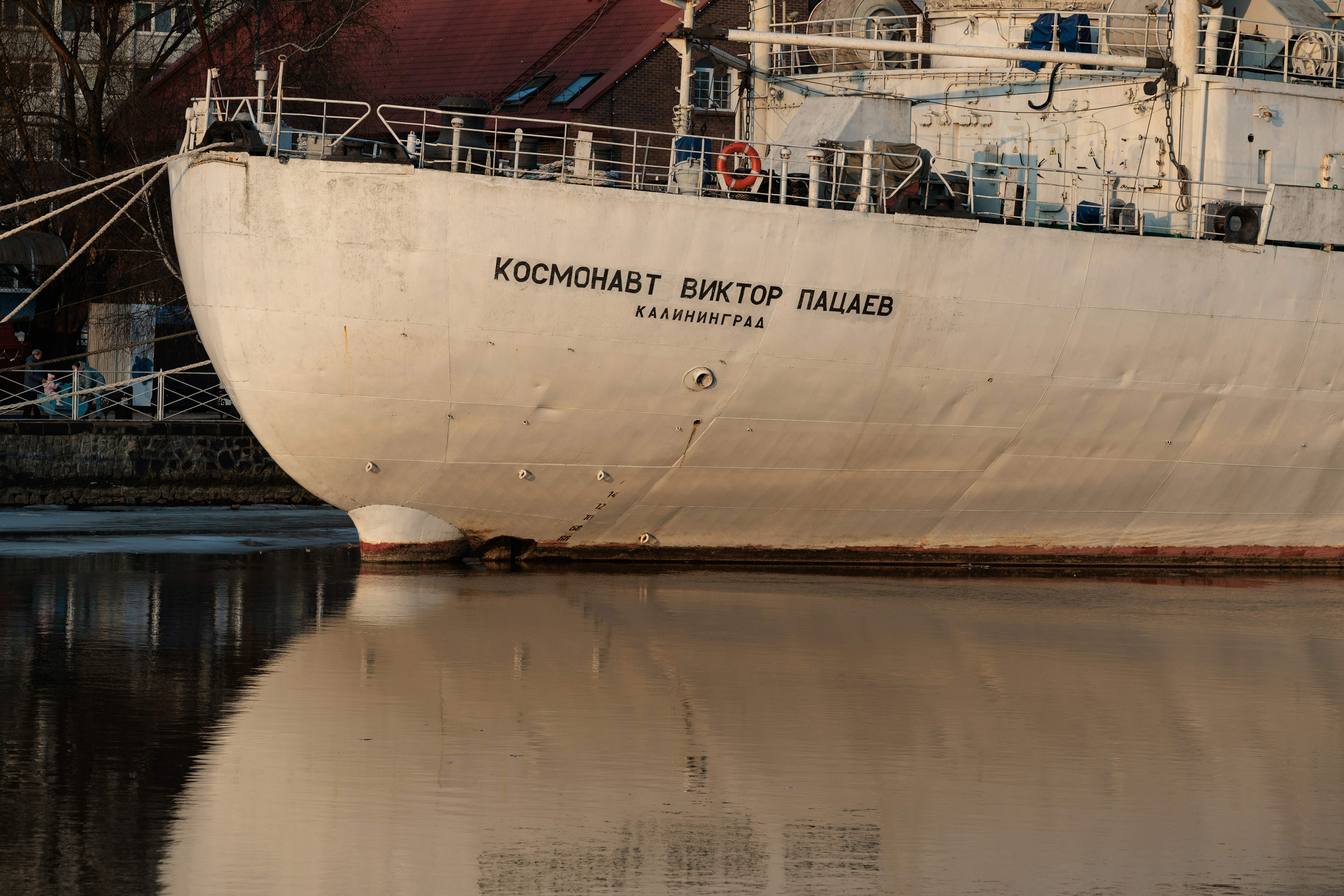 Harbor Freighter's Quiet Reflection