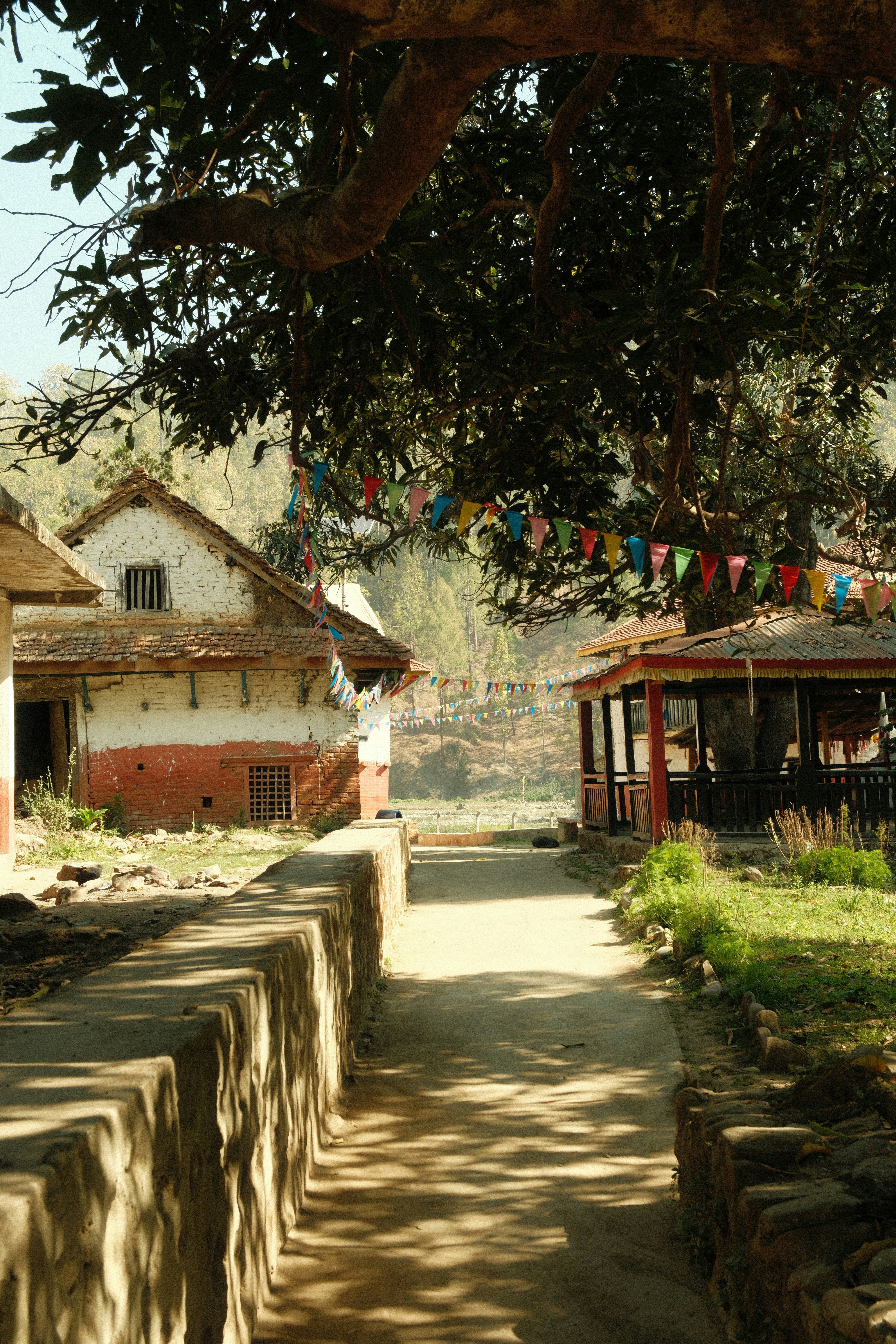 Festooned Lane Between Old White-Washed Homes