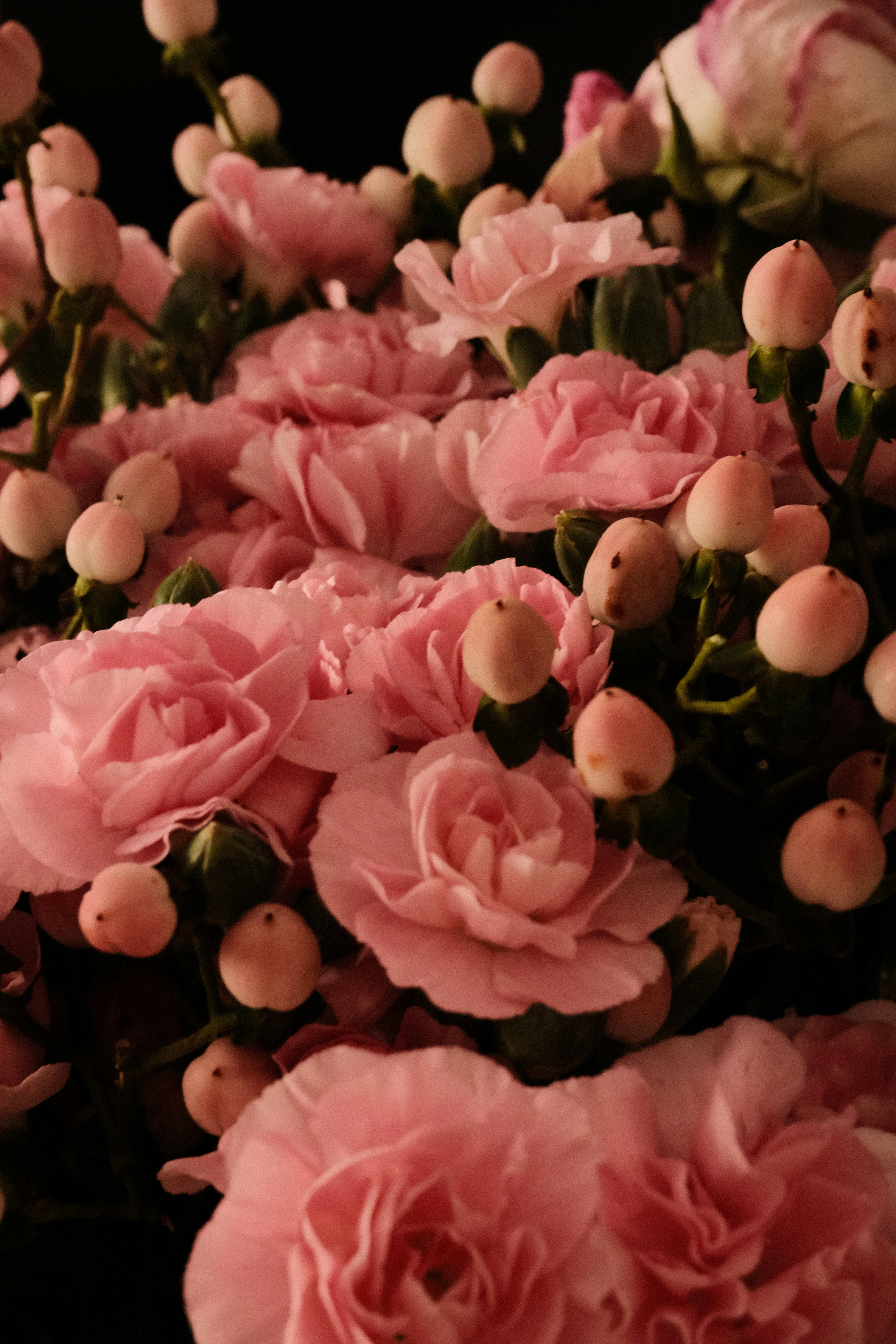Soft-pink rose bouquet in intimate lighting with budding accents