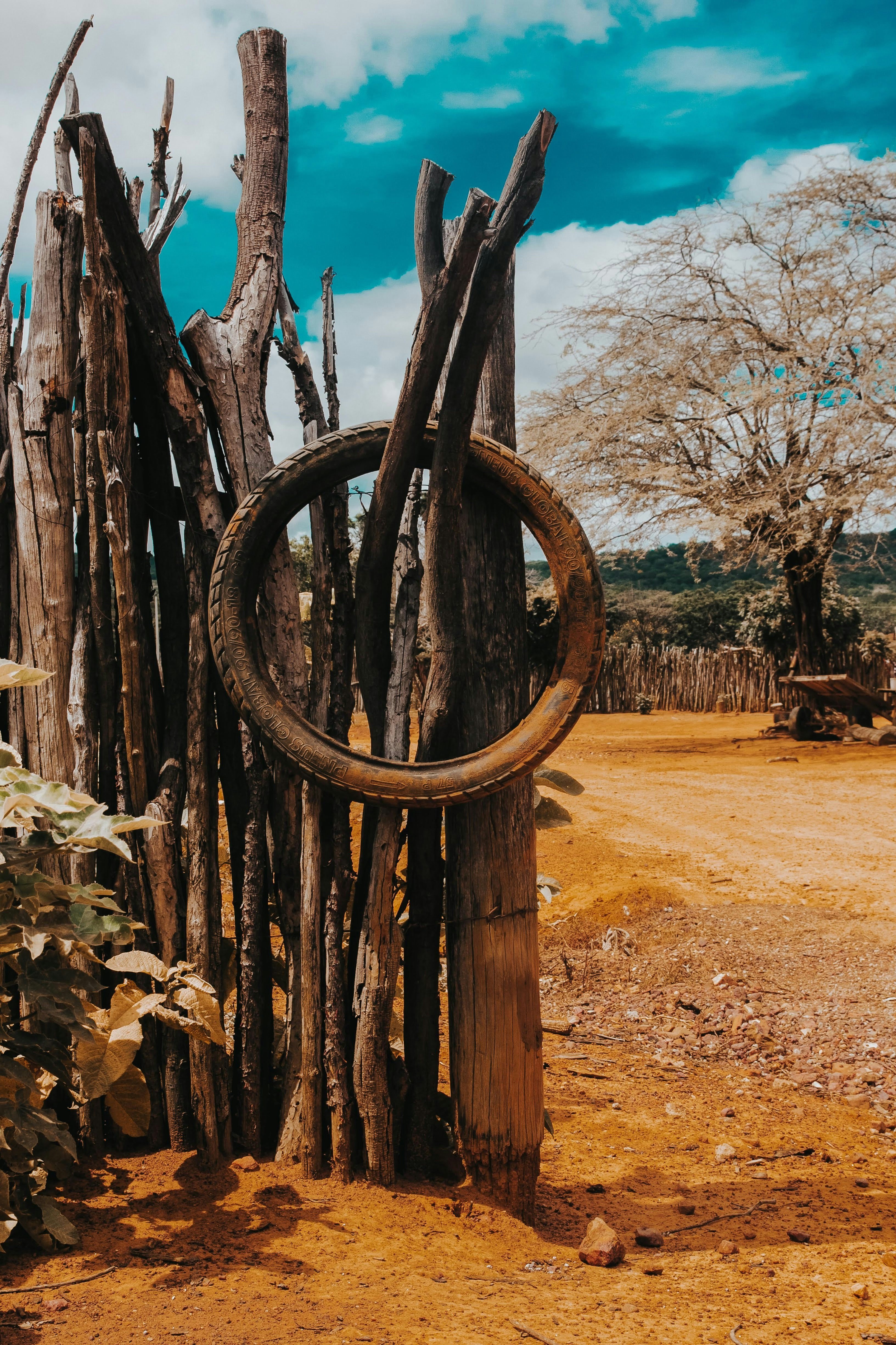 Tire Rim Adorns a Rustic Pollard Fence Under A Turquoise Sky