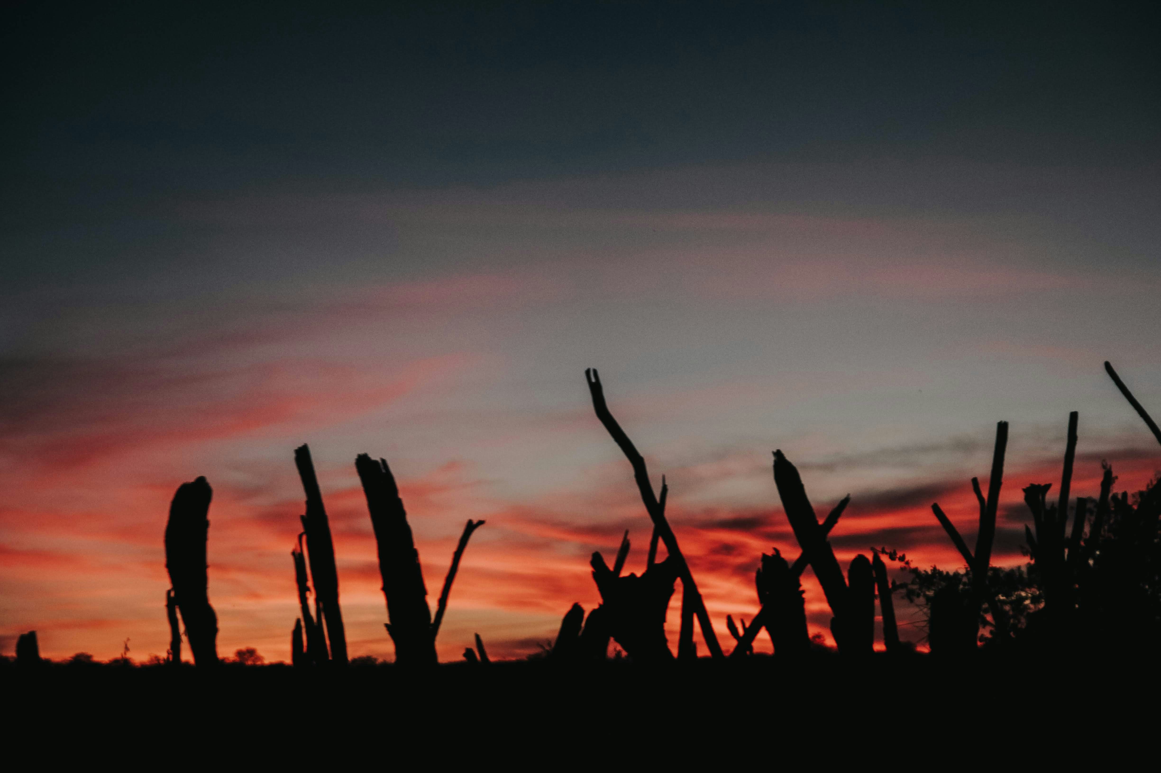 Silhouetted Fence Fragments Against a Fiery Dusk Horizon
