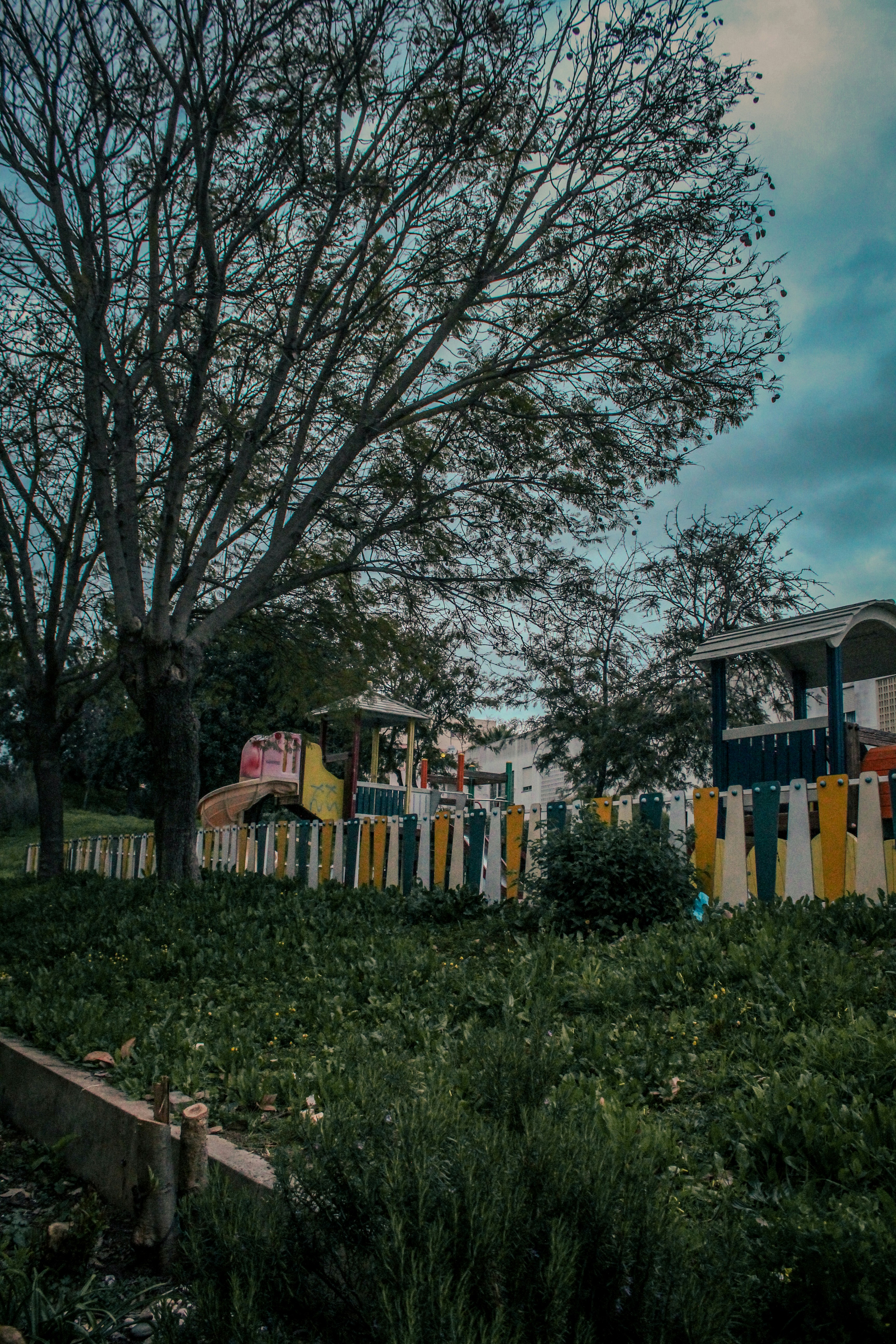 Playground Fence with Colorful Poles Framed by a Parental Tree