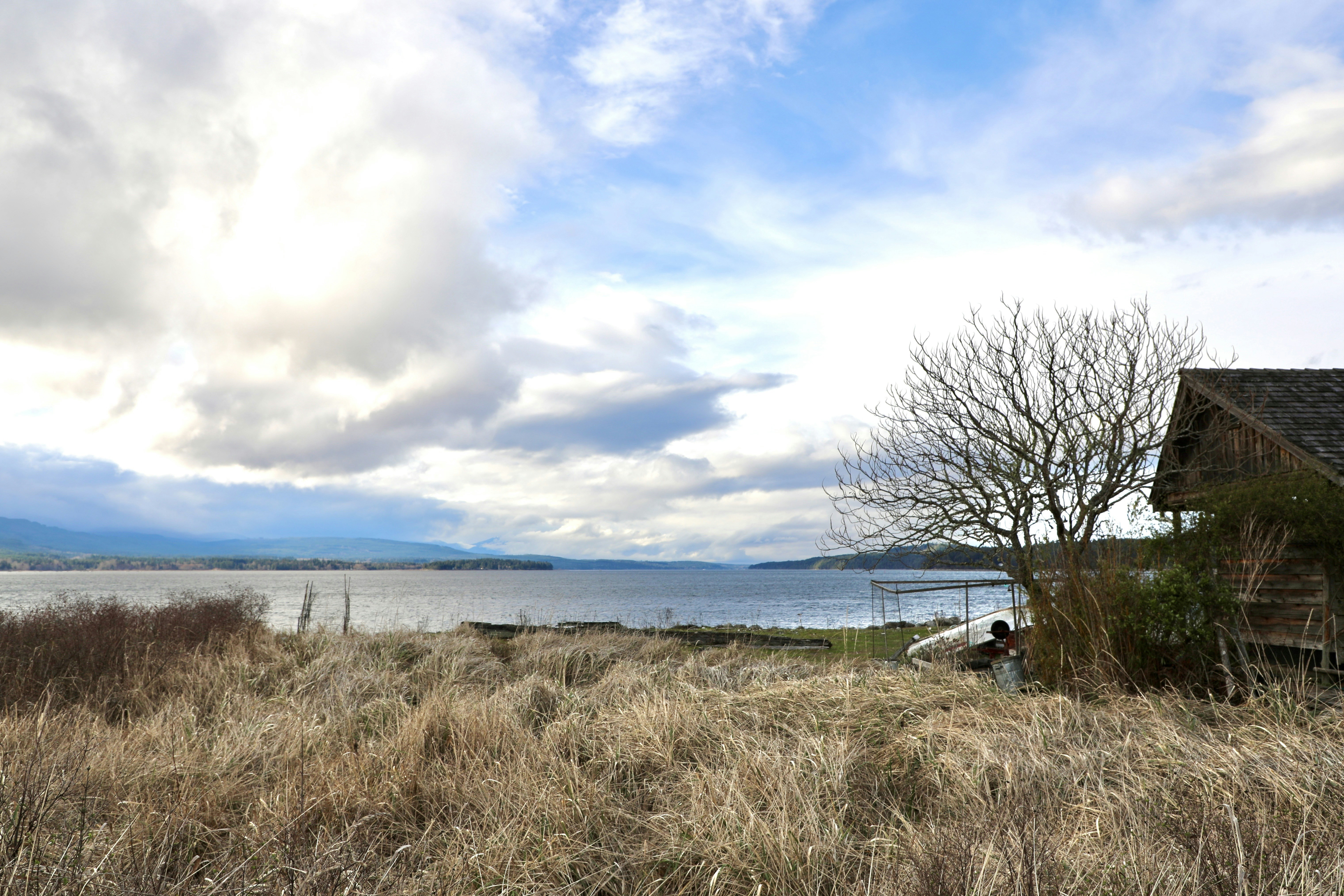 Shoreline Cabin at the Edge of Autumn Gulls